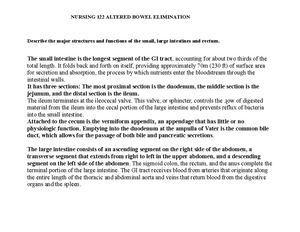 Major Structures OF GI System - Assessment of GI Paient Assessment ...