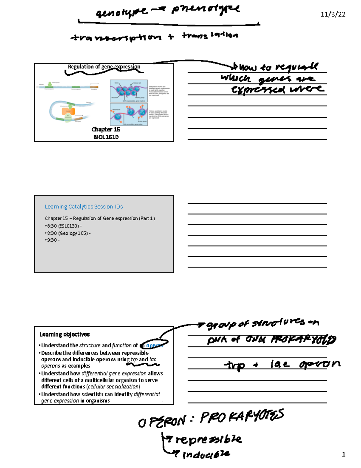 B1610-15-Control of Gene Expression (CH 15) Notes - Regulation of gene ...