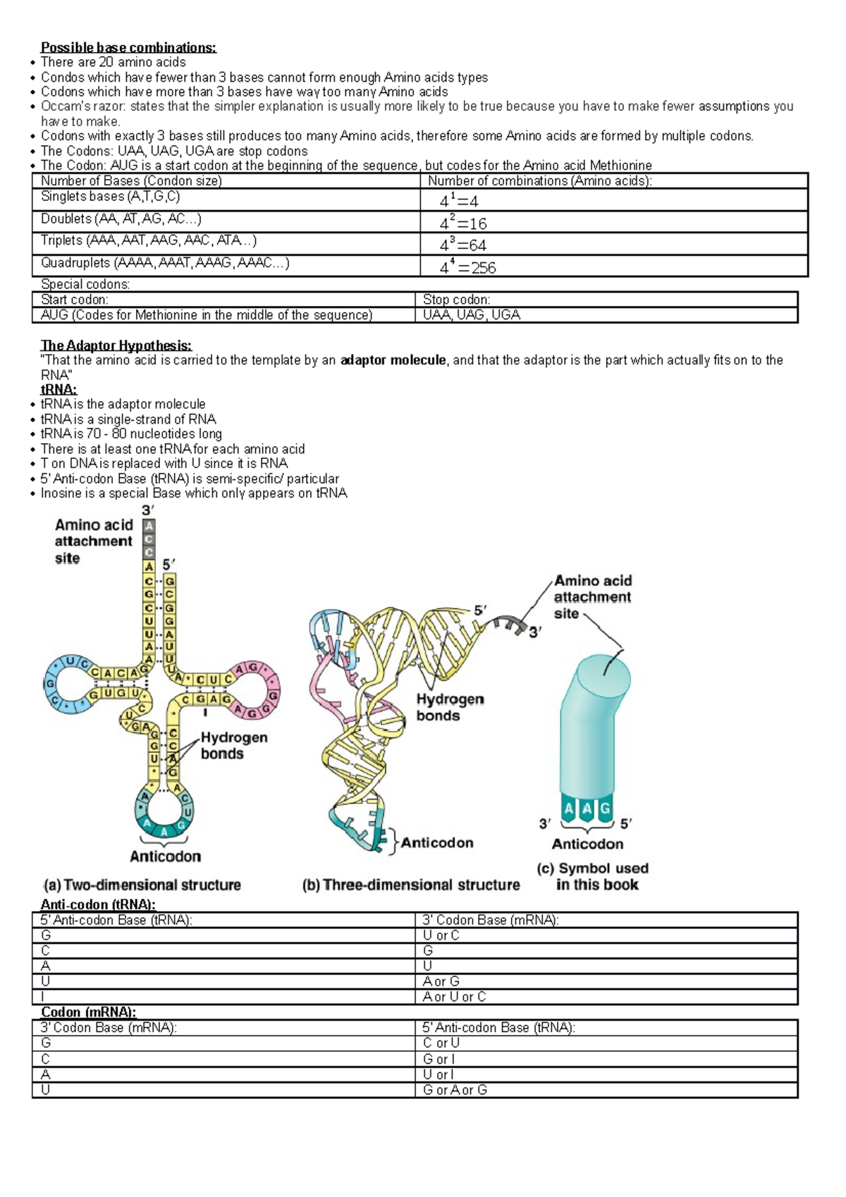 CELS 191 - Lecture 18 (Translation protein synthesis and the genetic ...