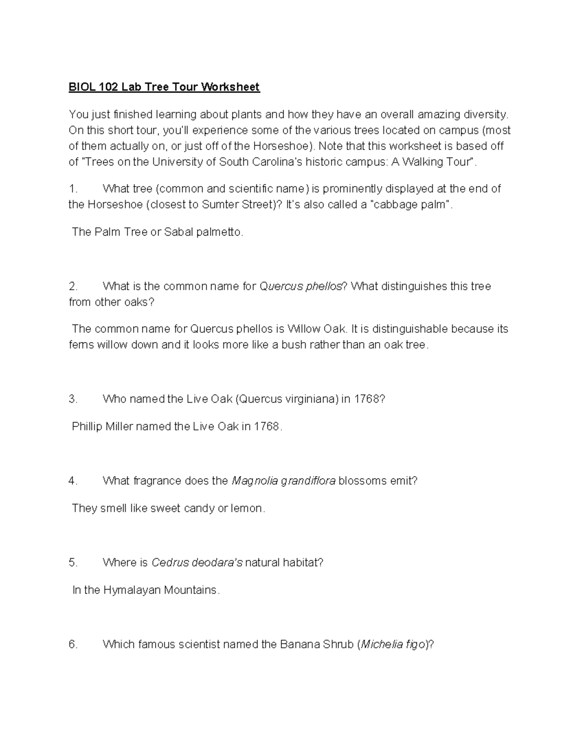 Tree Tour Worksheet - On this short tour, you’ll experience some of the ...