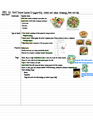 Nutrition Handling And Metabolism Notes - Digestion Breakdown of foods ...