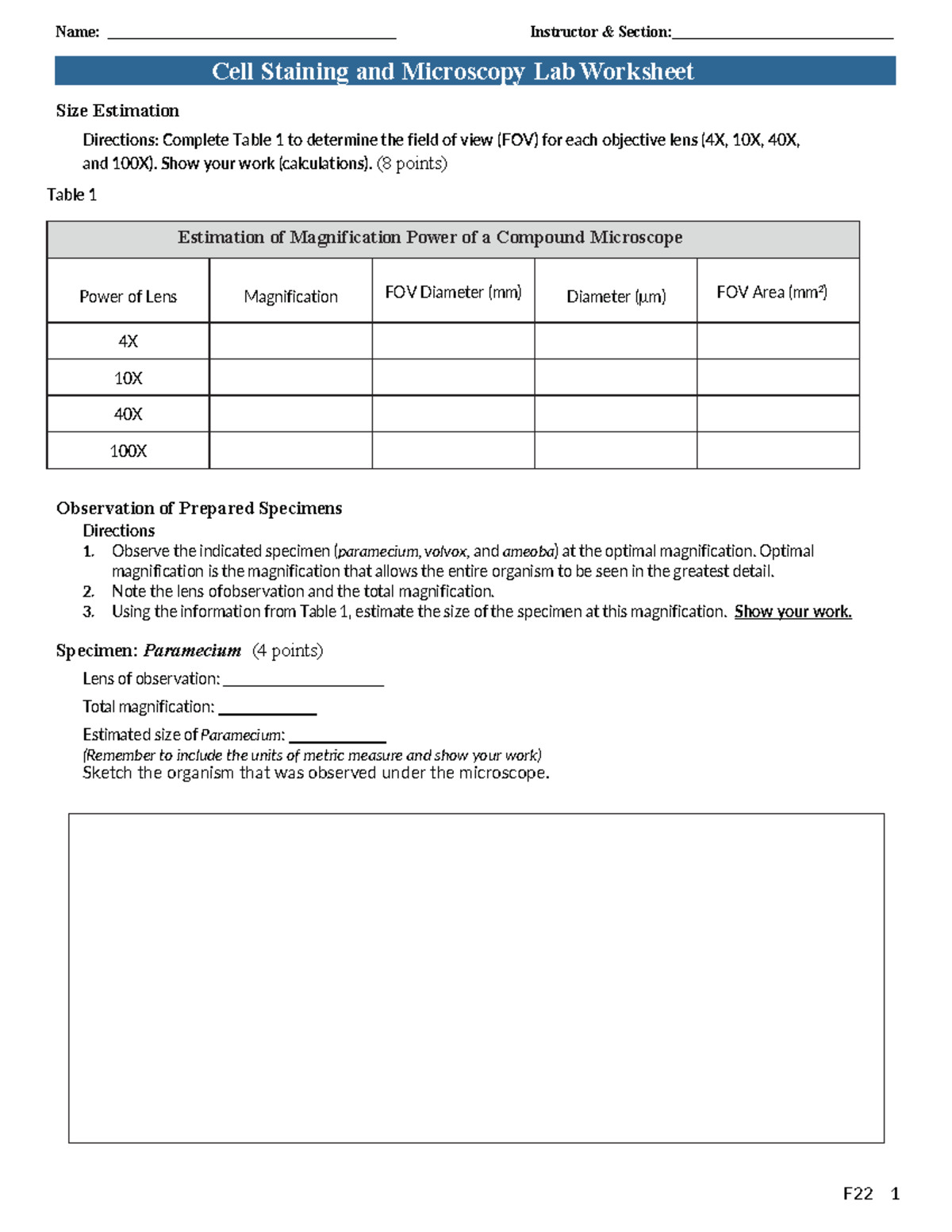 F22 Cell Staining and Microscopy Worksheet - Cell Staining and Microscopy Lab Worksheet Size ...