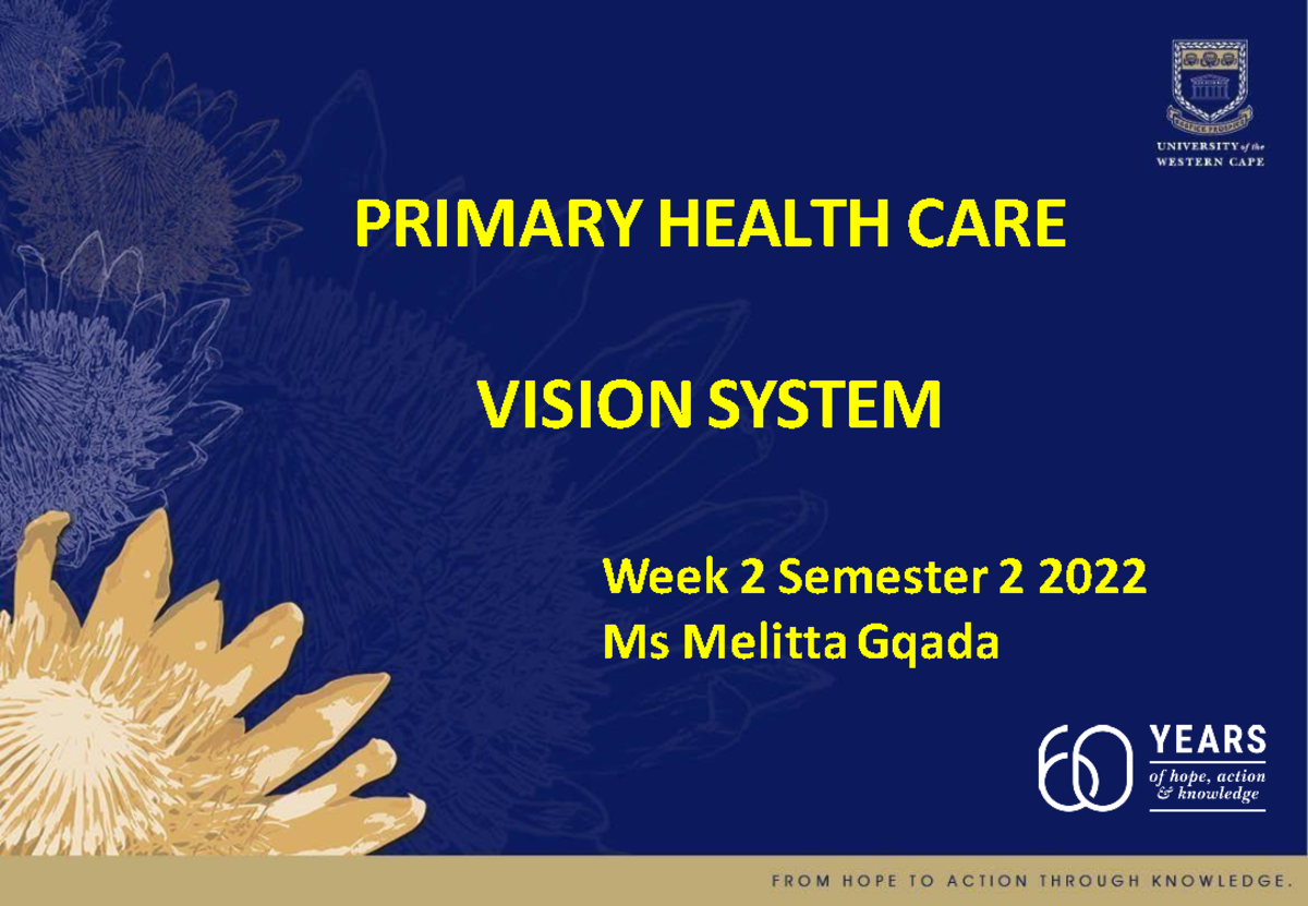 WEEK 2 Visual System 2022 MG - PRIMARY HEALTH CARE VISION SYSTEM Week 2 ...
