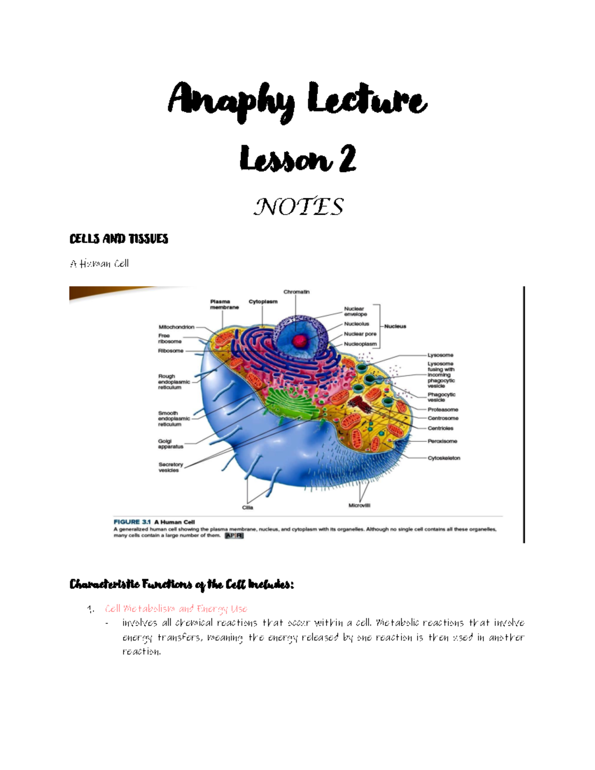 Anaphy Lec - Lesson 2 Notes - Anaphy Lecture Lesson 2 NOTES CELLS AND ...