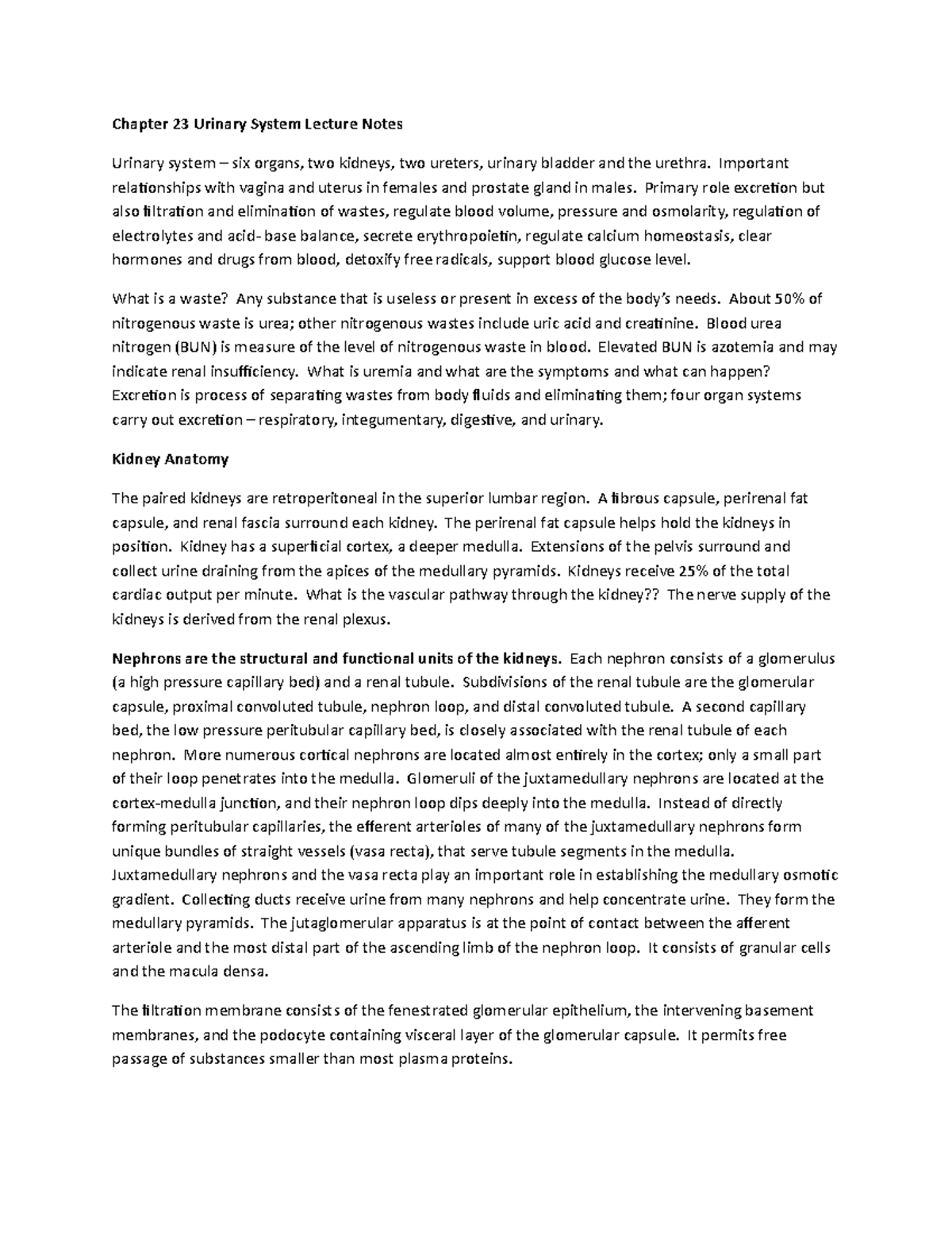 Chapter 23 Lecture Notes - Chapter 23 Urinary System Lecture Notes ...