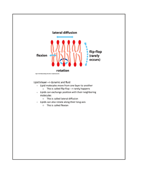 LSCI 202 Chapter 5 Part 2 - Lsci 202 - Studocu