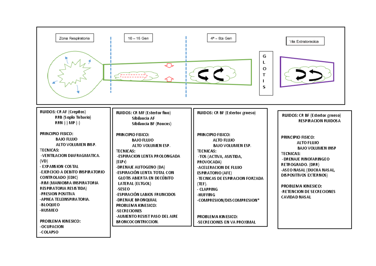Esquema VIA Respi TTKK - clase - RUIDOS : CR AF (Crepitos) RRB (Soplo ...