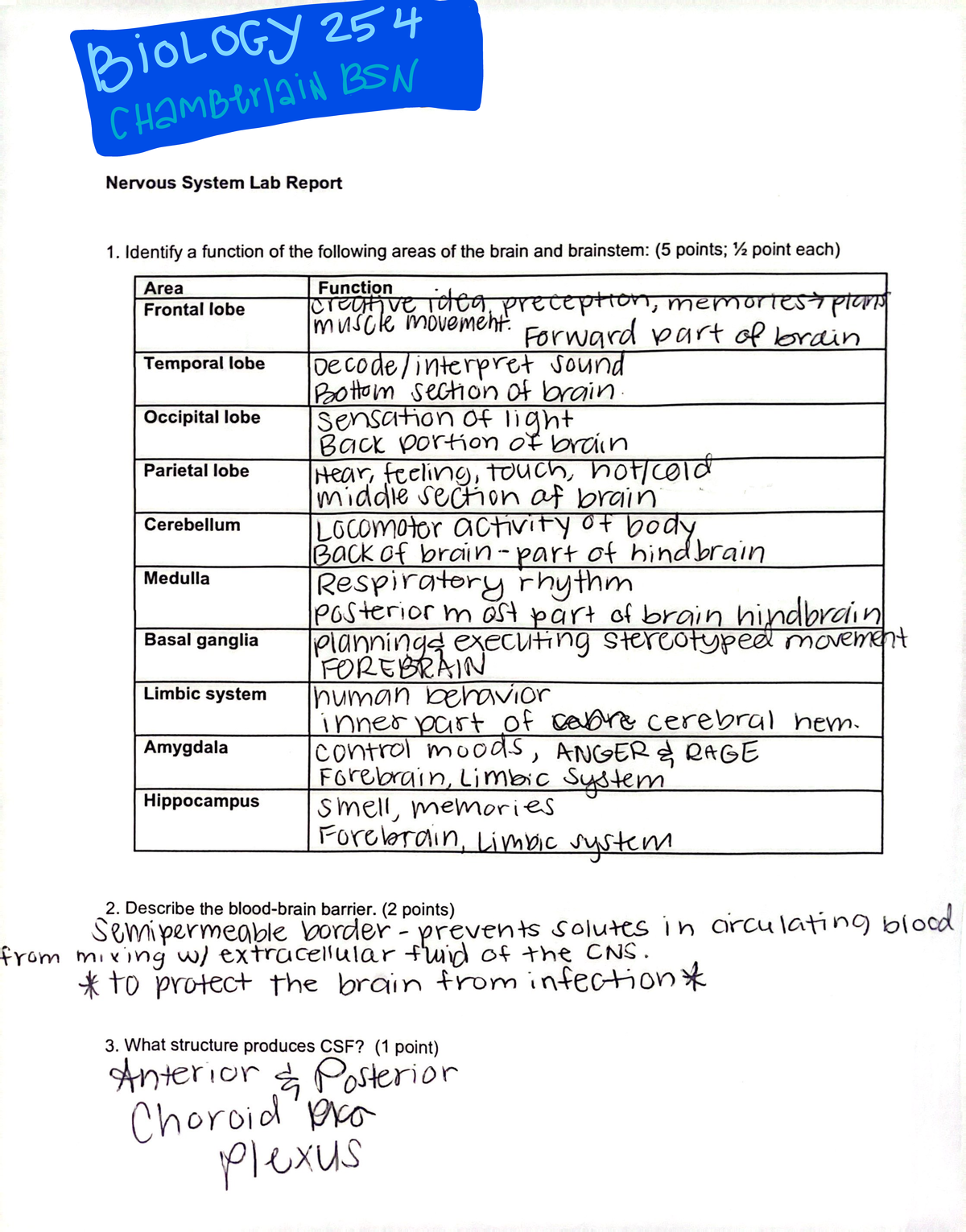 Bio week 4 - Lab Report - BIOS 252 - Studocu