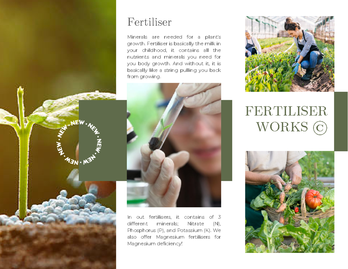 Fertiliser leaflet - FERTILISER WORKS © Fertiliser Minerals are needed ...