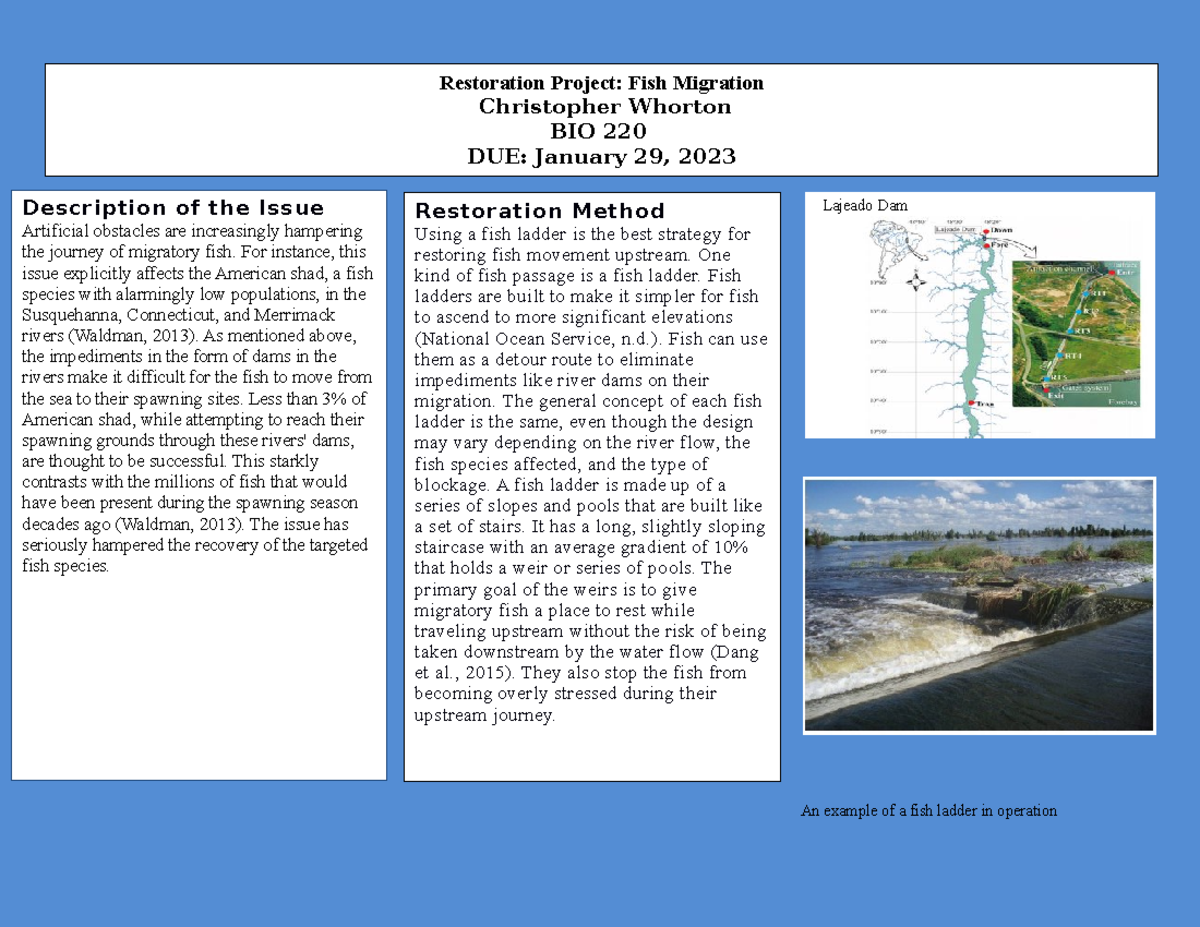 Restoration Pamphlet - An example of a fish ladder in operation ...