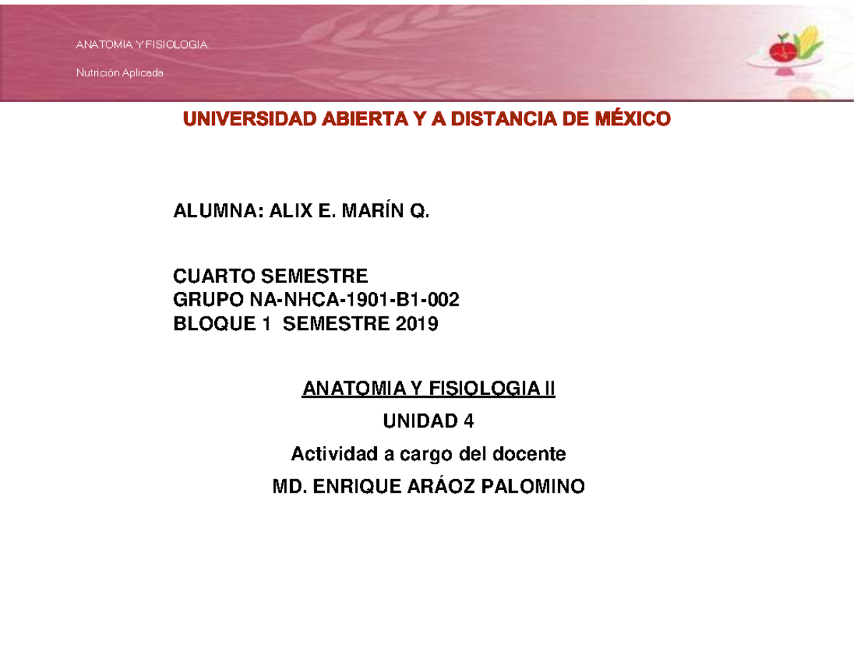 AFI2 ACD AEMQ - El sistema nervioso - Nutrición Aplicada ALUMNA: ALIX E ...