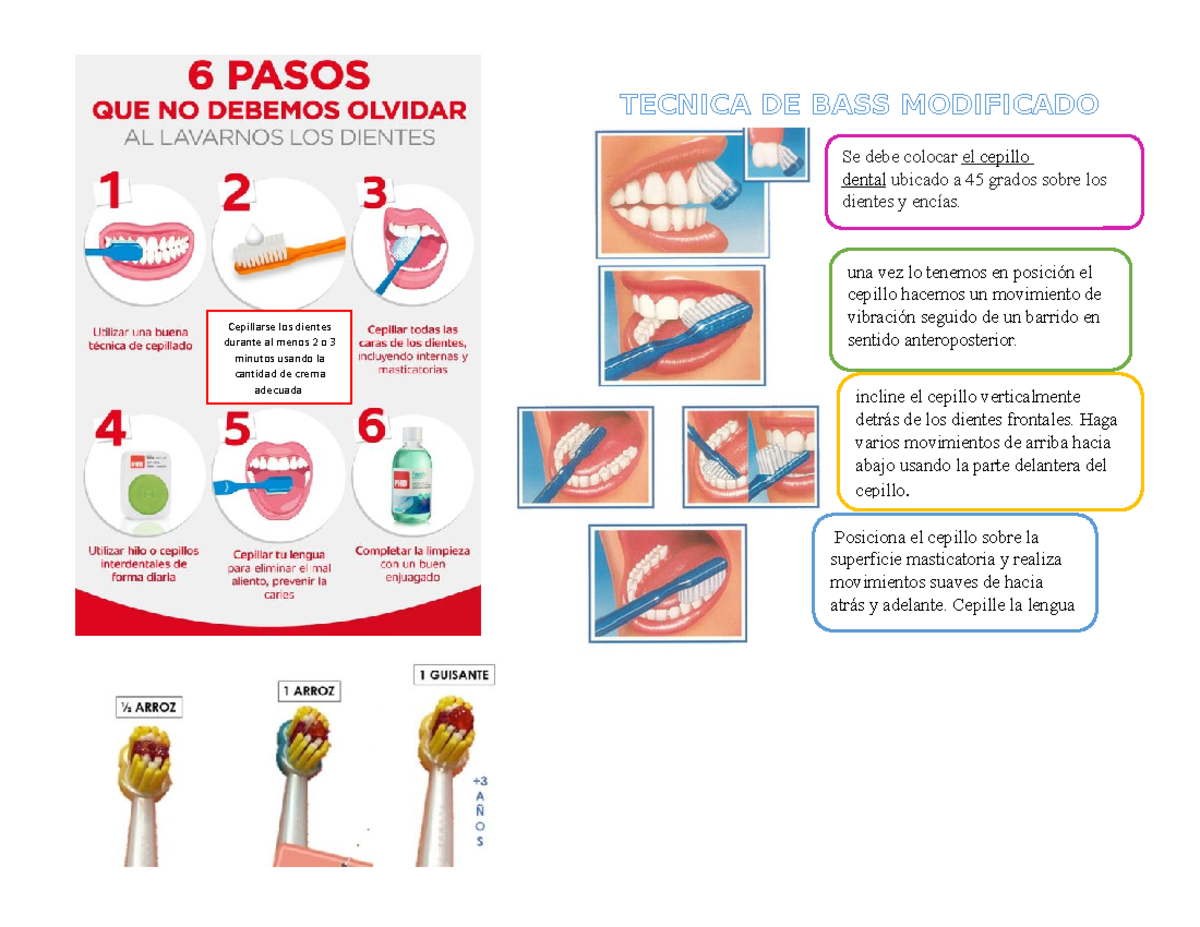 Portafolio - cepillado dental - TECNICA DE BASS MODIFICADO Cepillarse ...