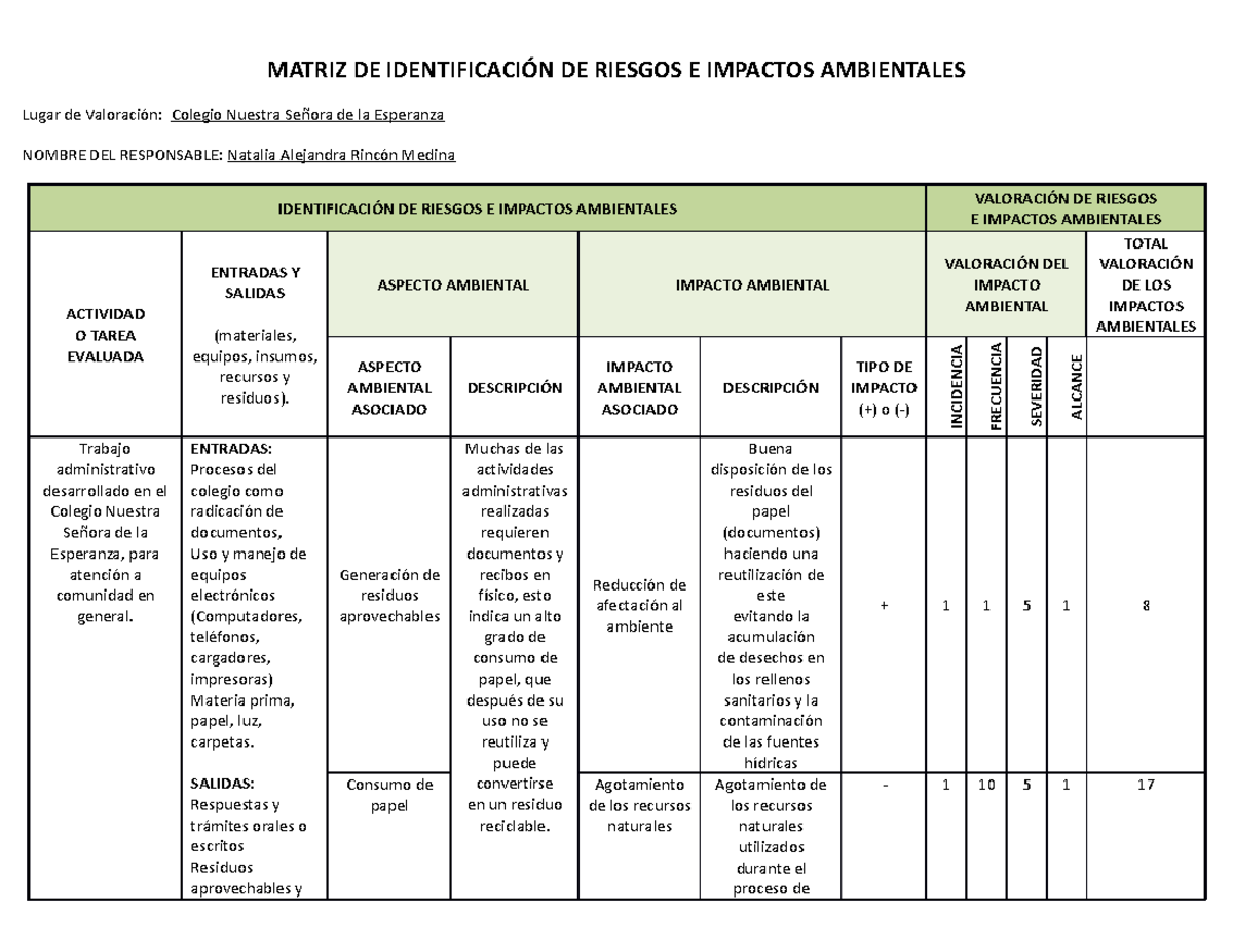 Matriz de Trabajo Natalia Alejandra Rincón Medina - MATRIZ DE ...