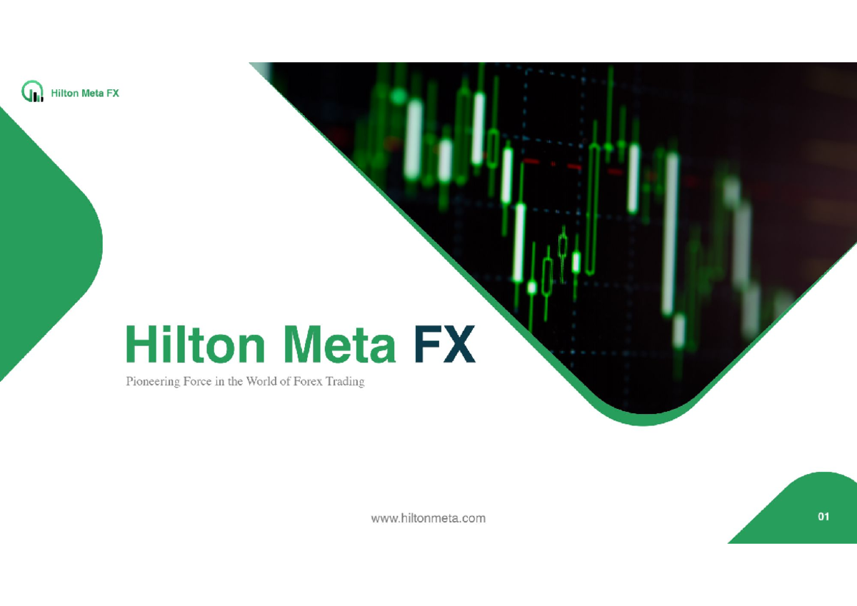 Hilton Meta FX - KEY Final - Hilton Meta FX Hilton Meta FX Pioneering ...