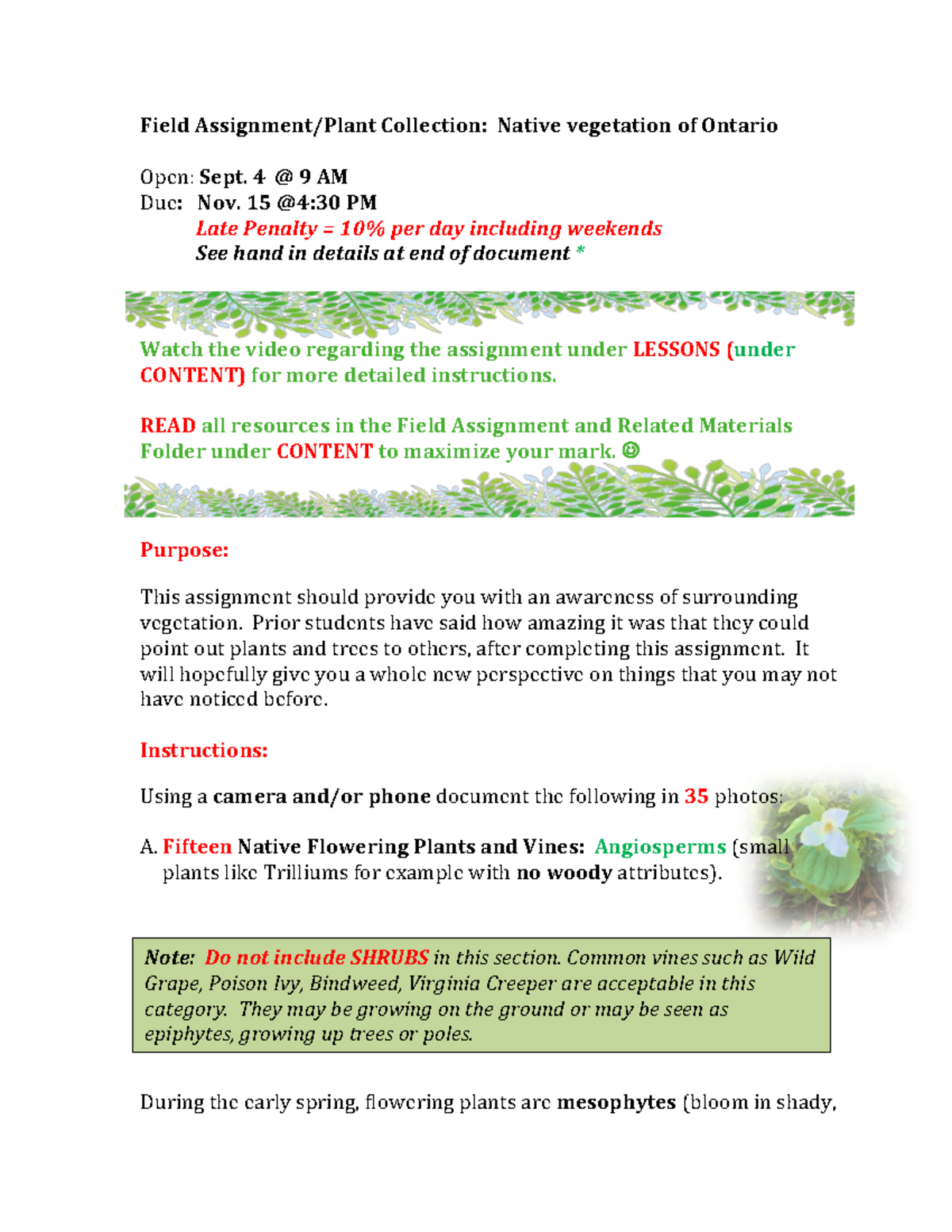 Biol 2P93 Field Assignment Fall 2024 - Field Assignment/Plant ...