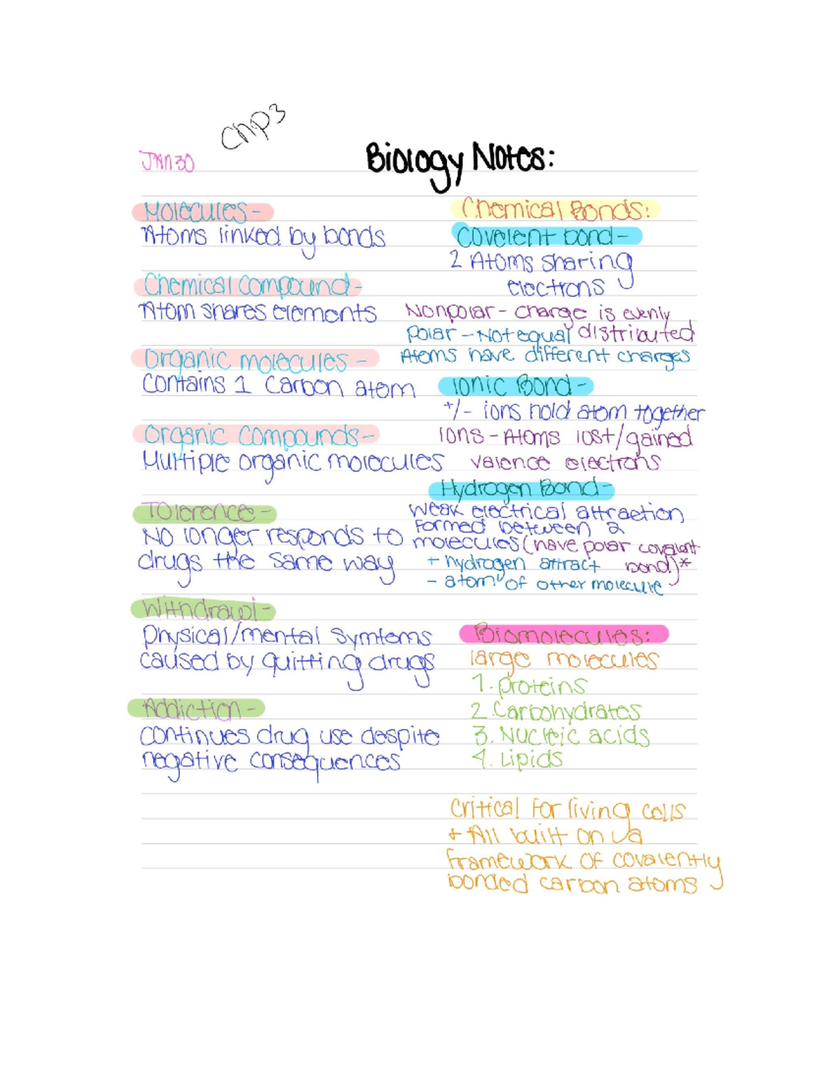 Bio notes - professor jack - Biol103.009 - Studocu