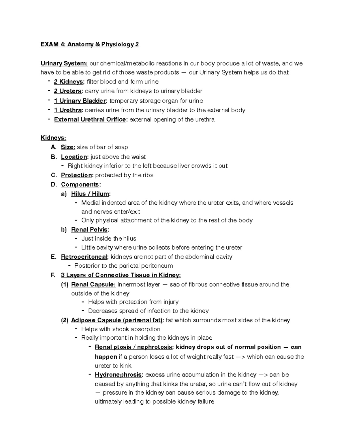 AP Exam 4 - notes for each exam. I got an A (97.7) in this class - EXAM ...