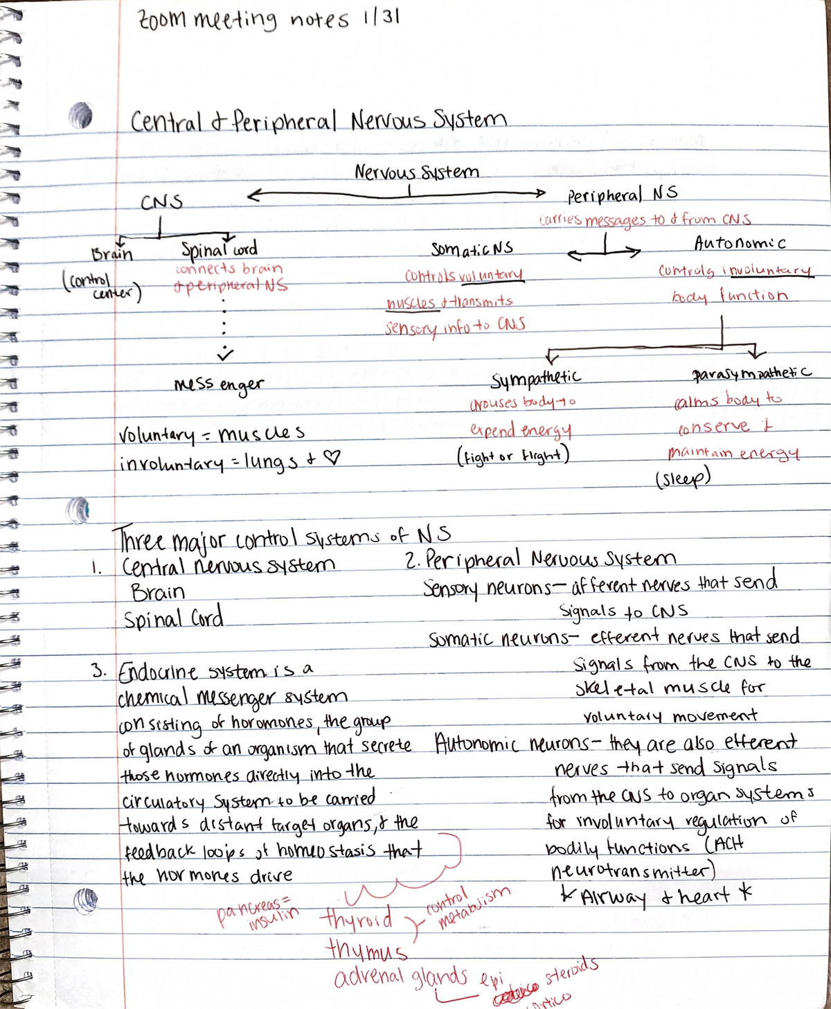 Pharmacology cns and pns - RESP 1342 - Studocu