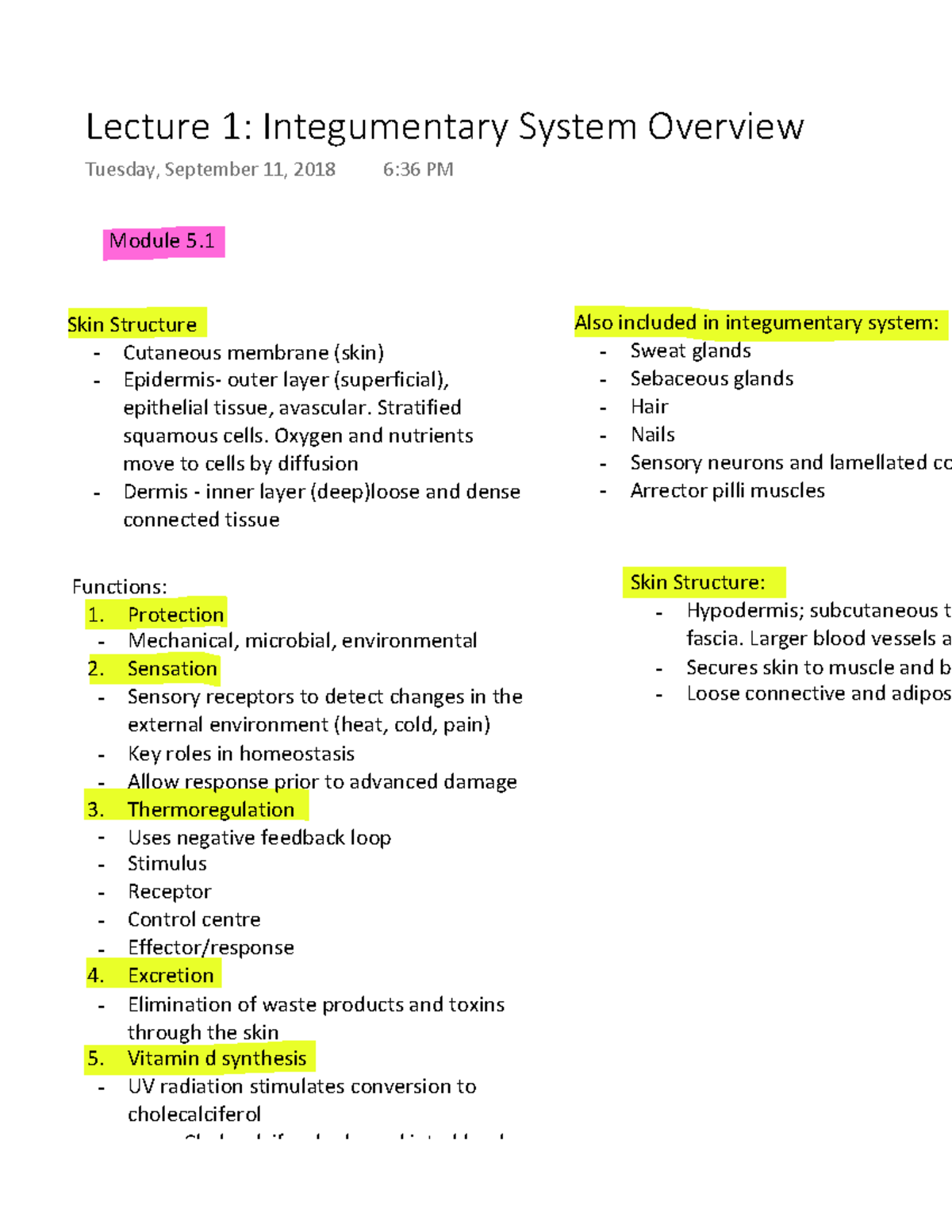 Integumentary System - First-year nursing anatomy and physiology exam ...