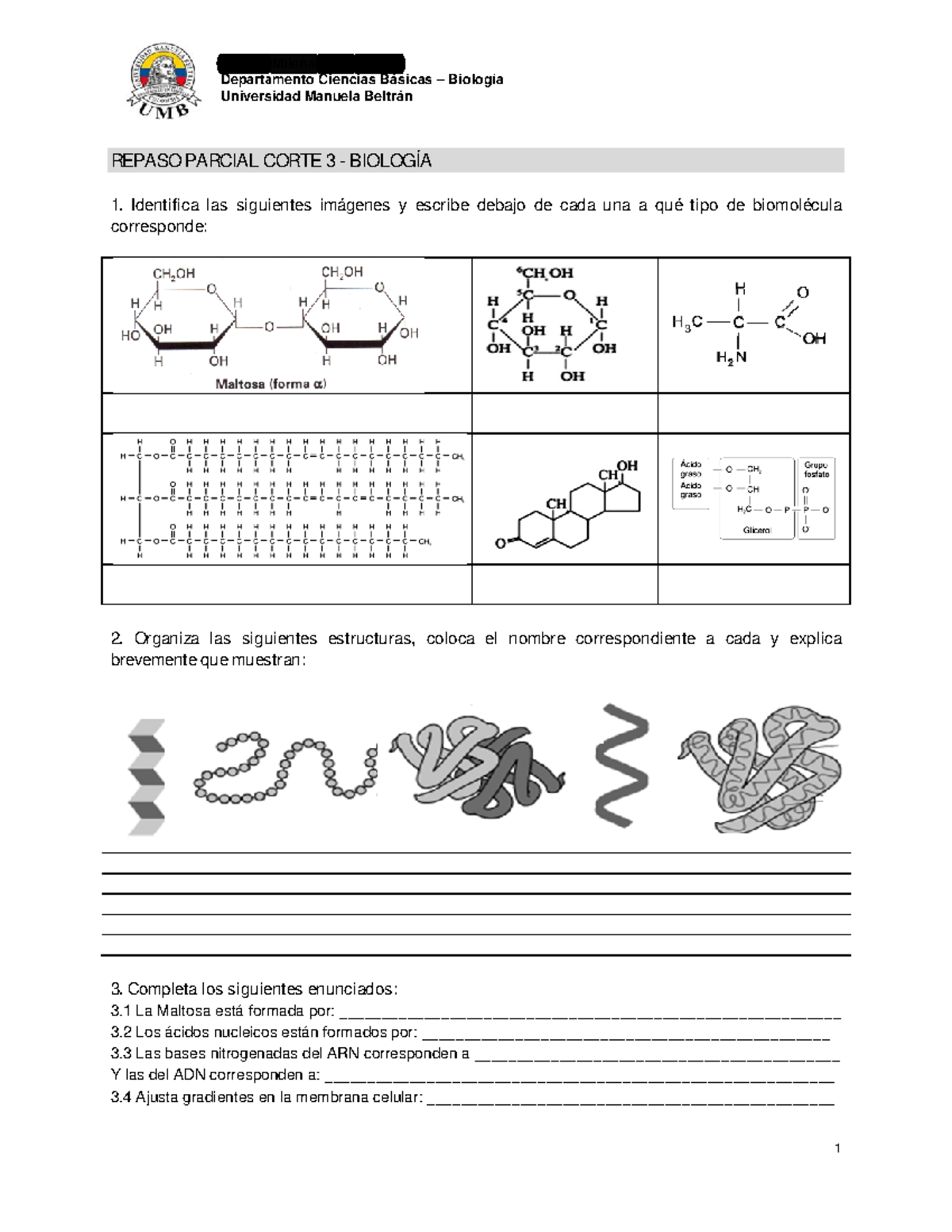 Taller repaso Biomoleculas - REPASO 1. Identif correspon 2. Organ ...