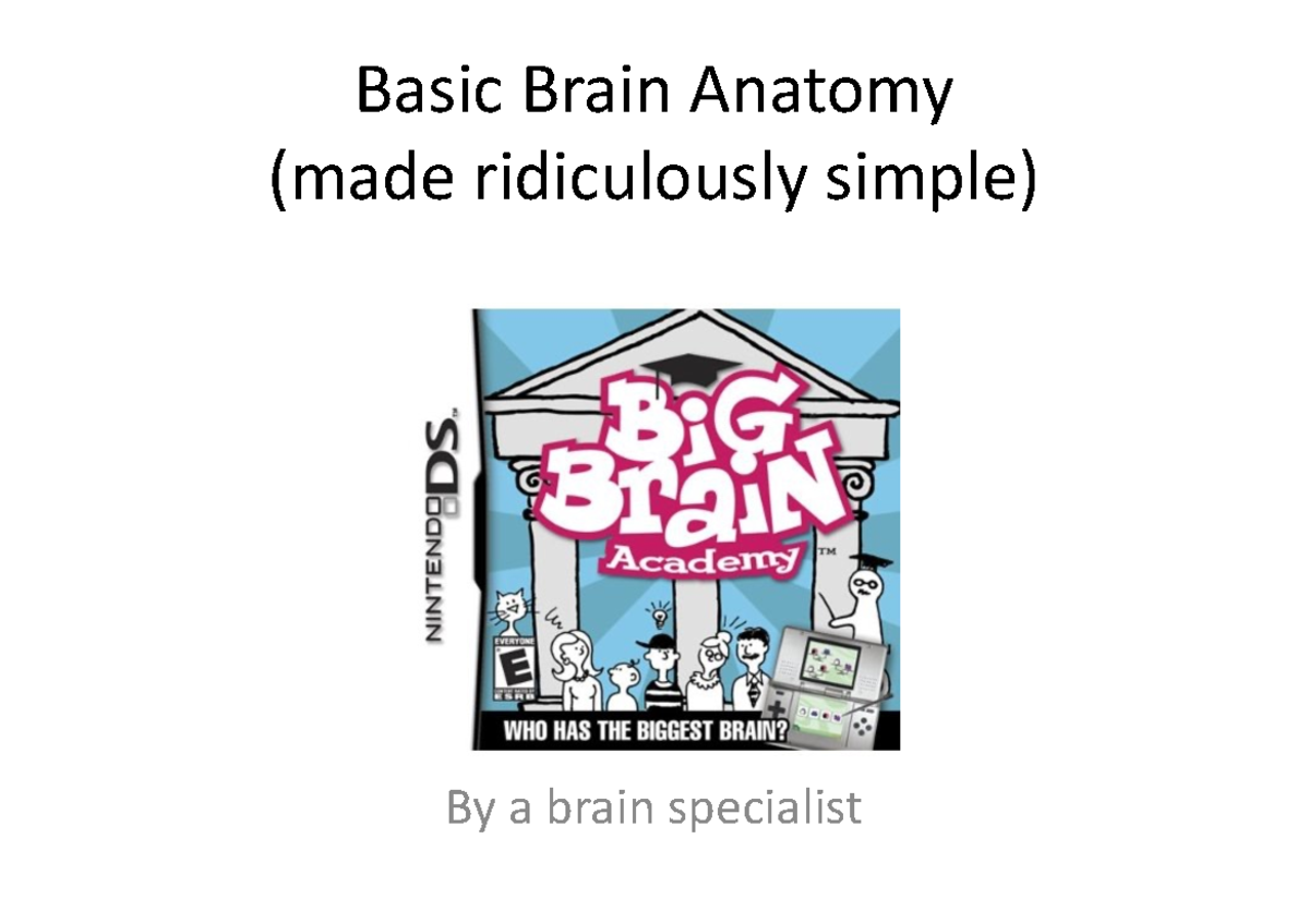 Basic Brain Anatomy 2021 - Basic Brain Anatomy (made ridiculously ...