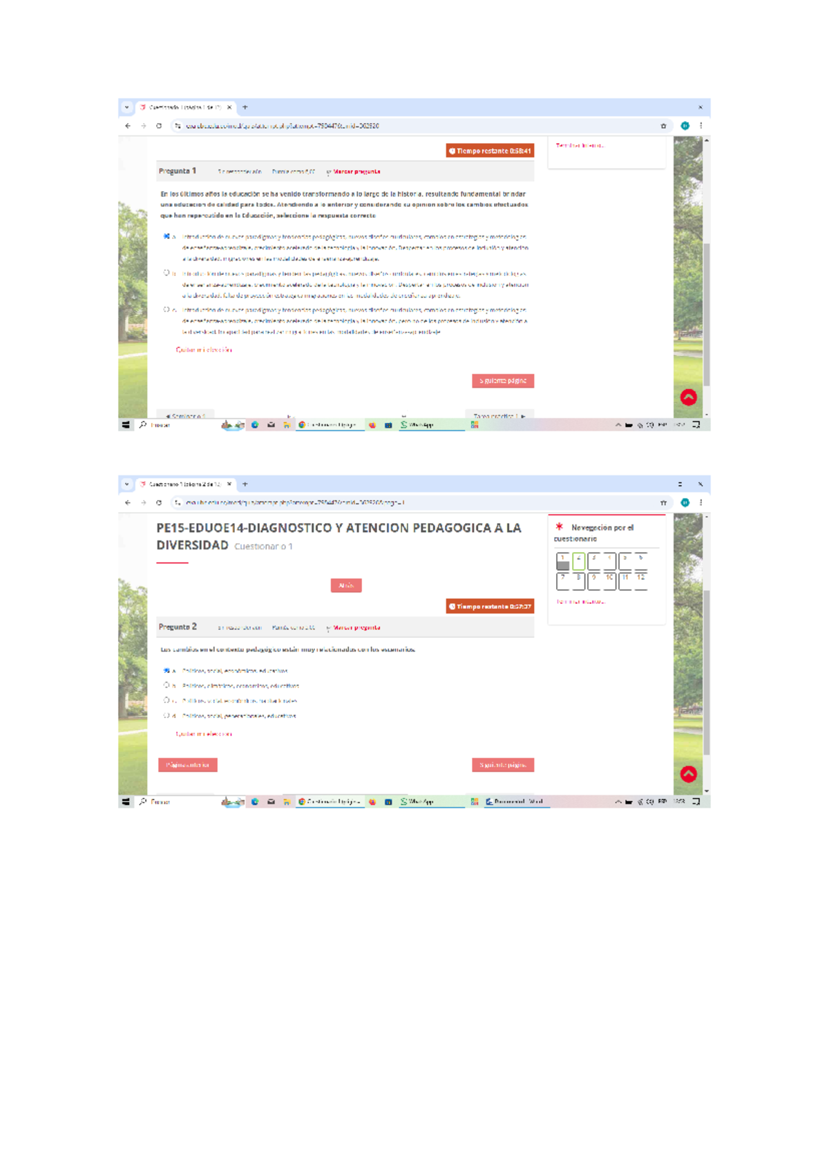 Cuestionario 1 - questionnaire - Cuestionario (página de 12) Terminar ...