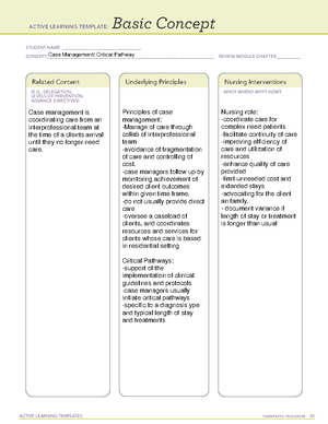 NSC Care Plan Template Gordon - CLINICAL NURSING PROCESS FORM : NORTH ...