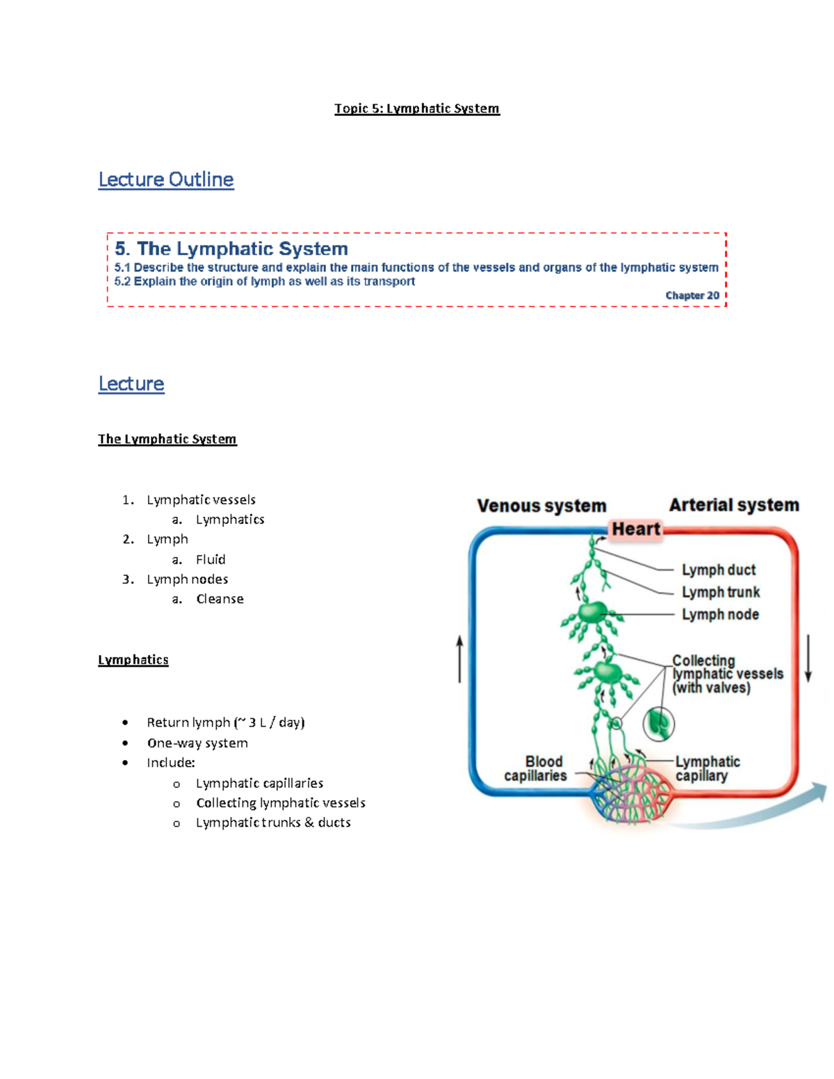 Topic 5 The Lymphatic System - Lecture notes 5 - Topic 5: Lymphatic ...