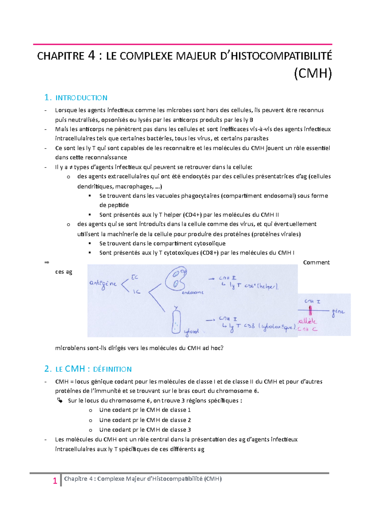Immuno chapitre 4 - CHAPITRE 4 : LE COMPLEXE MAJEUR D ...