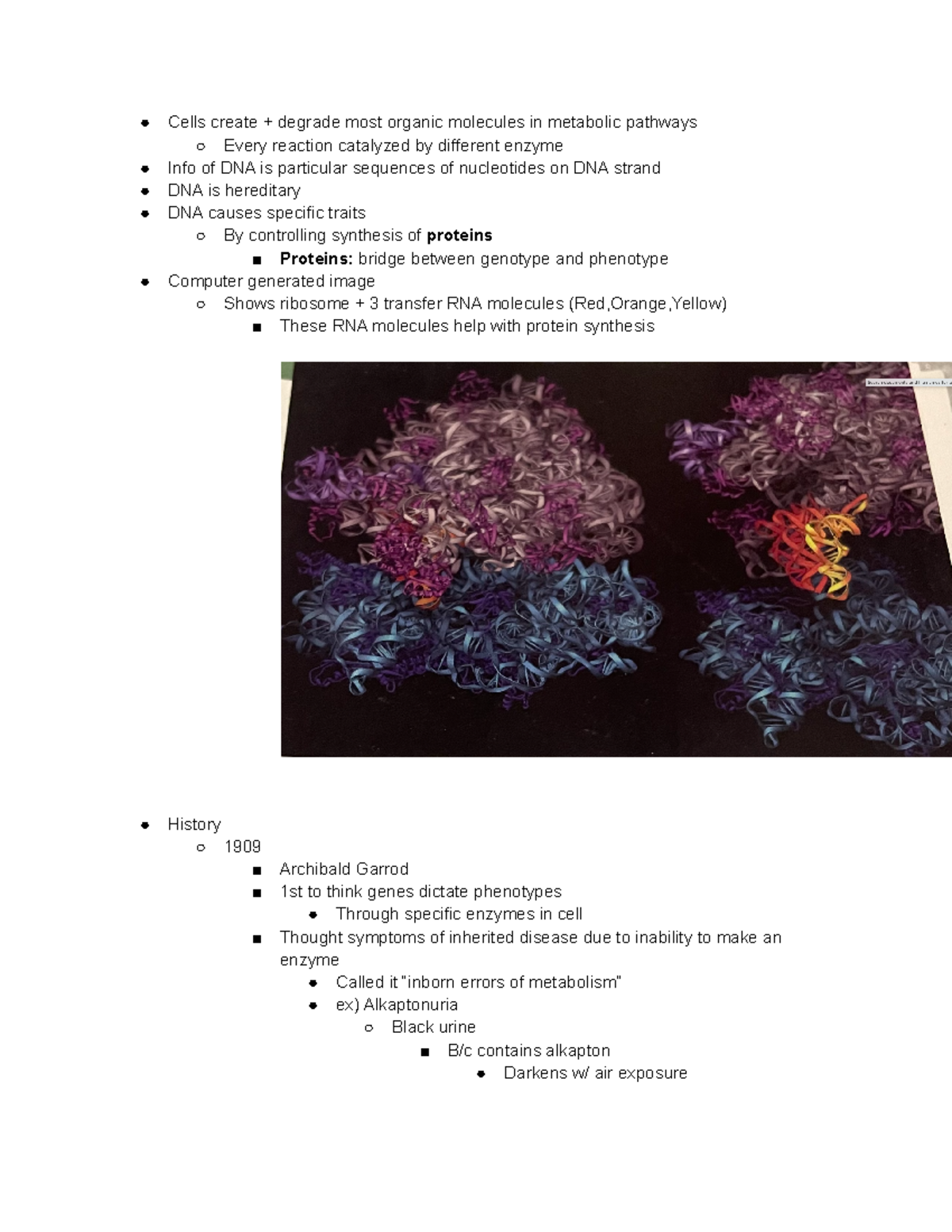 Transcription - Notes. - Cells create + degrade most organic molecules ...