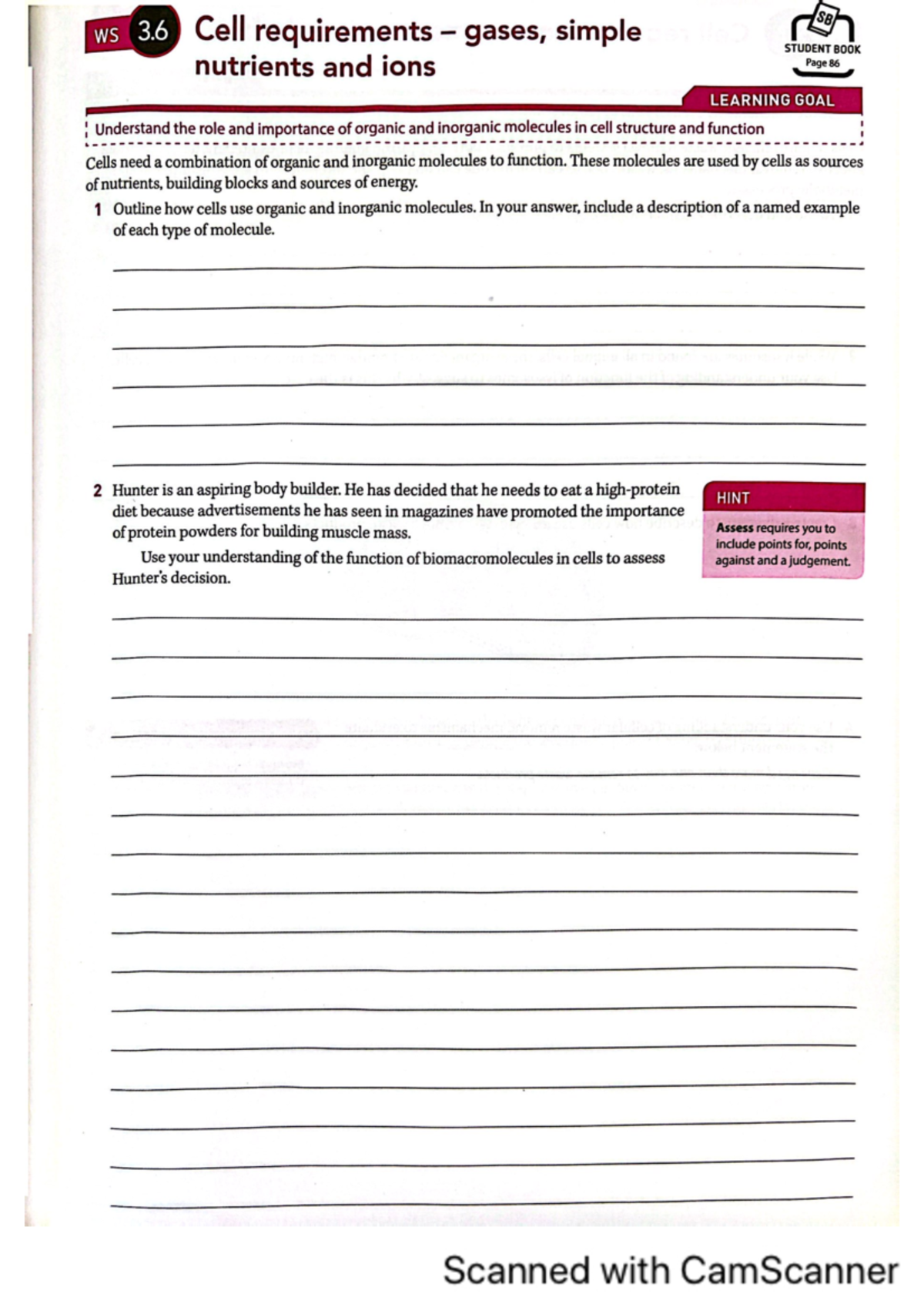 Cell Requirements - Studocu