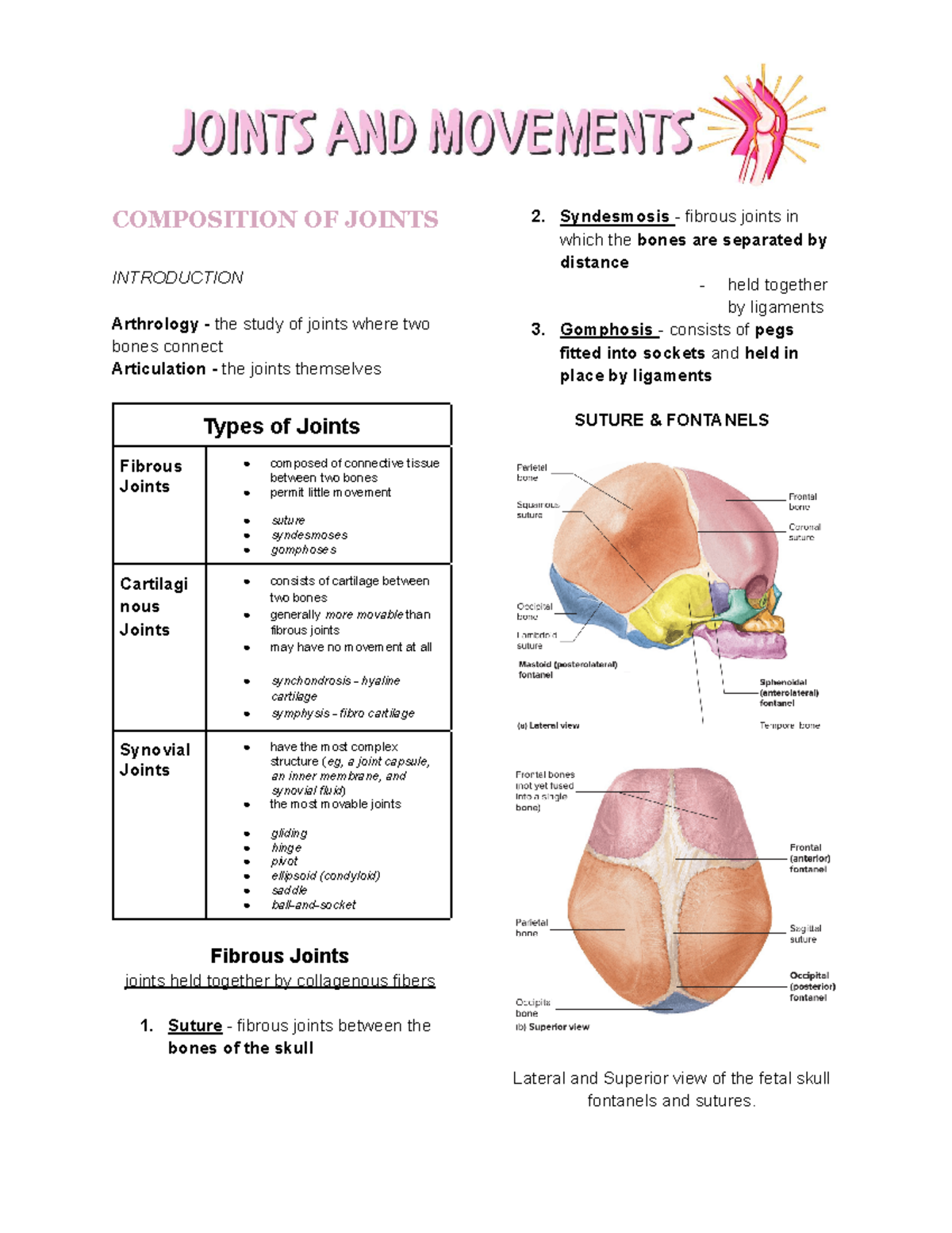 Joints AND Movement - Group 7 - COMPOSITION OF JOINTS INTRODUCTION ...