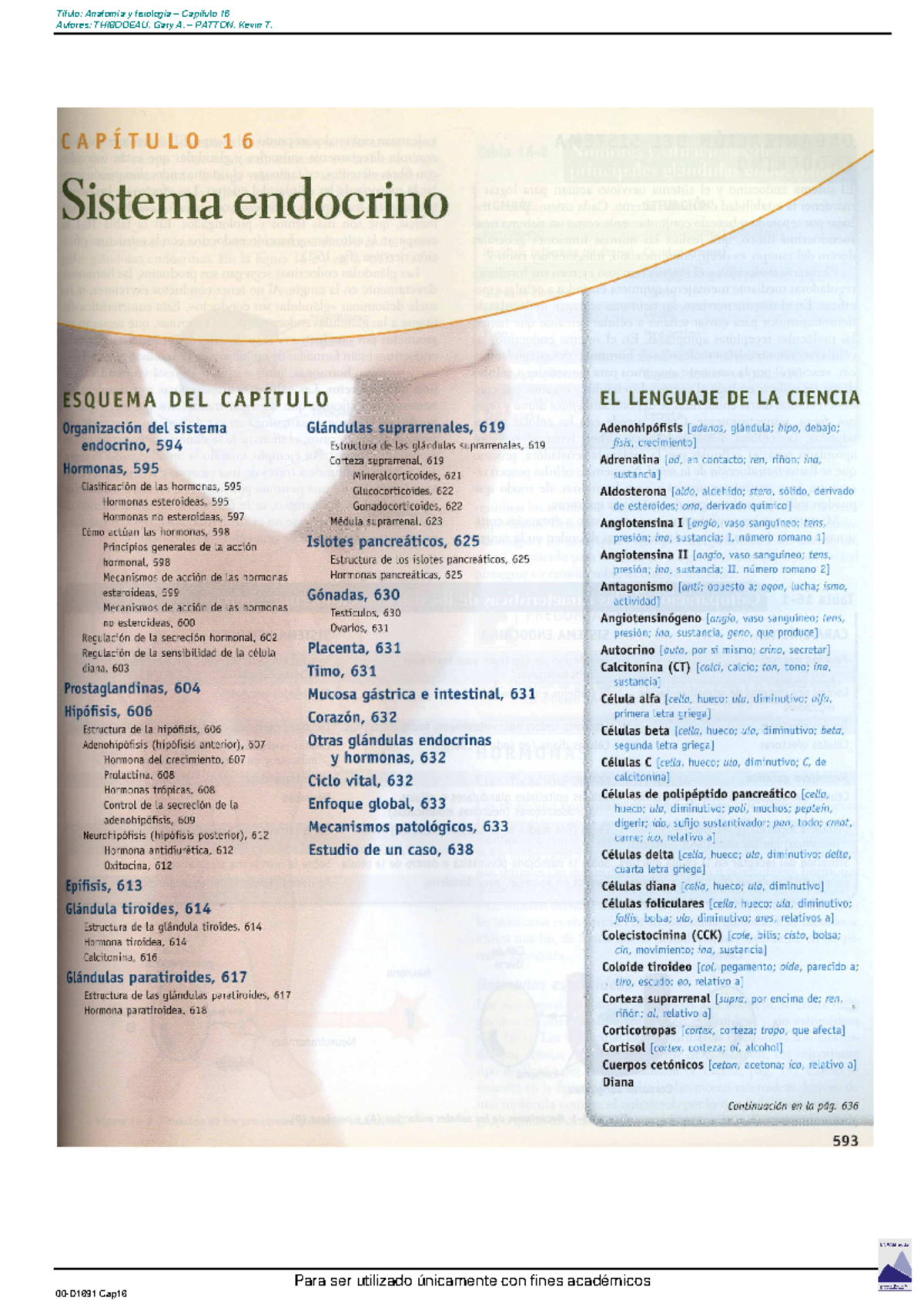 Sist.Endocrino Cap16 - Lee - Autores: THIBODEAU, Gary A. – PATTON ...