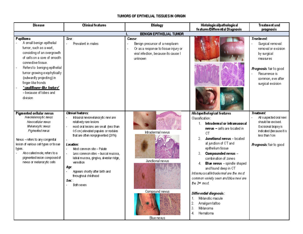 Tumors OF Epithelial Tissues IN Origin-ORAL Pathology - TUMORS OF ...