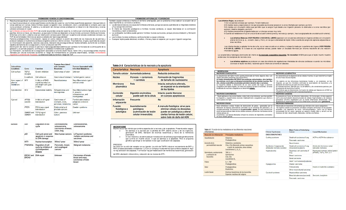 Fichas- Fisiopatologia - TROMBOSIS VENOSA (FLEBOTROMBOSIS) TROMBOSIS ...