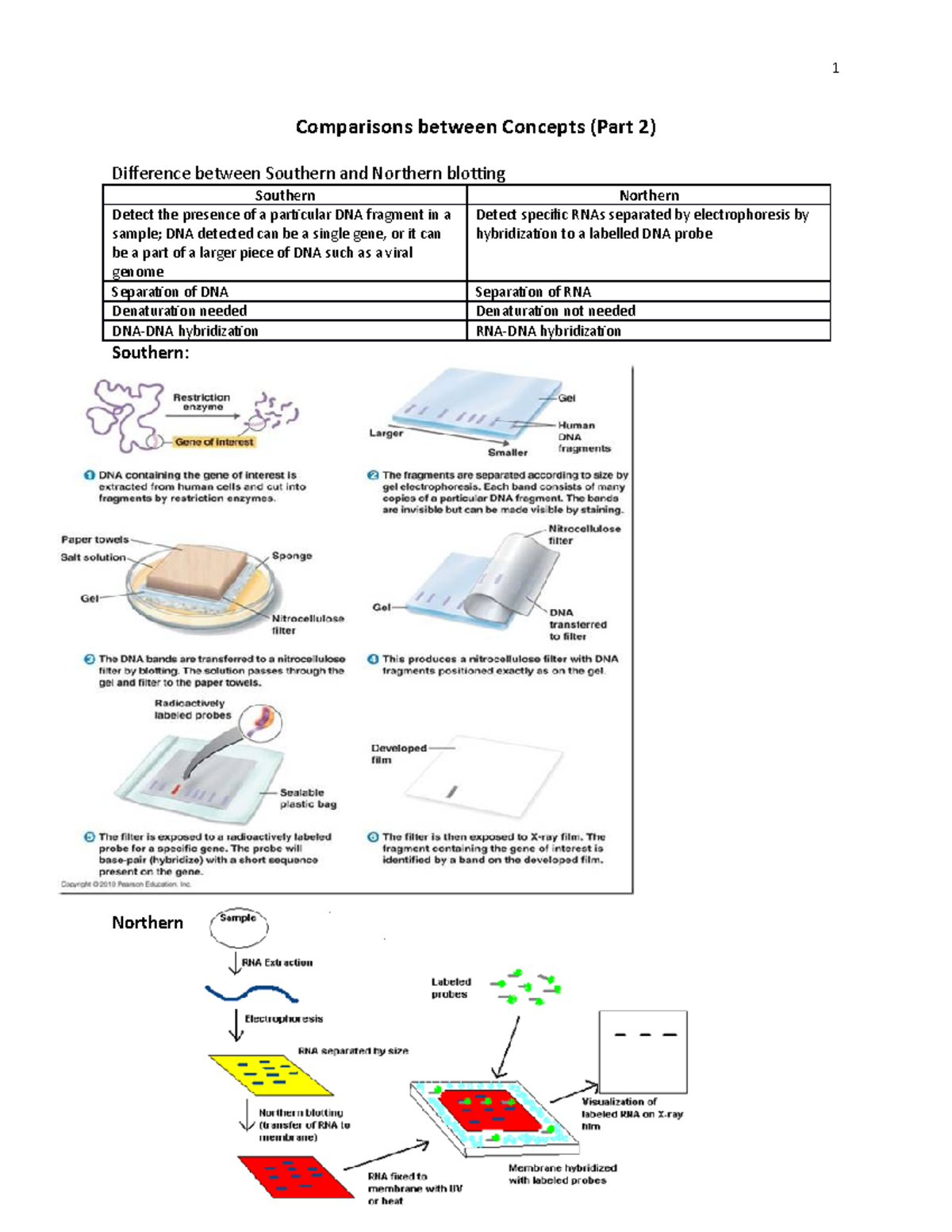 Differences Between Concepts 2 (colour) - 1 Comparisons between ...