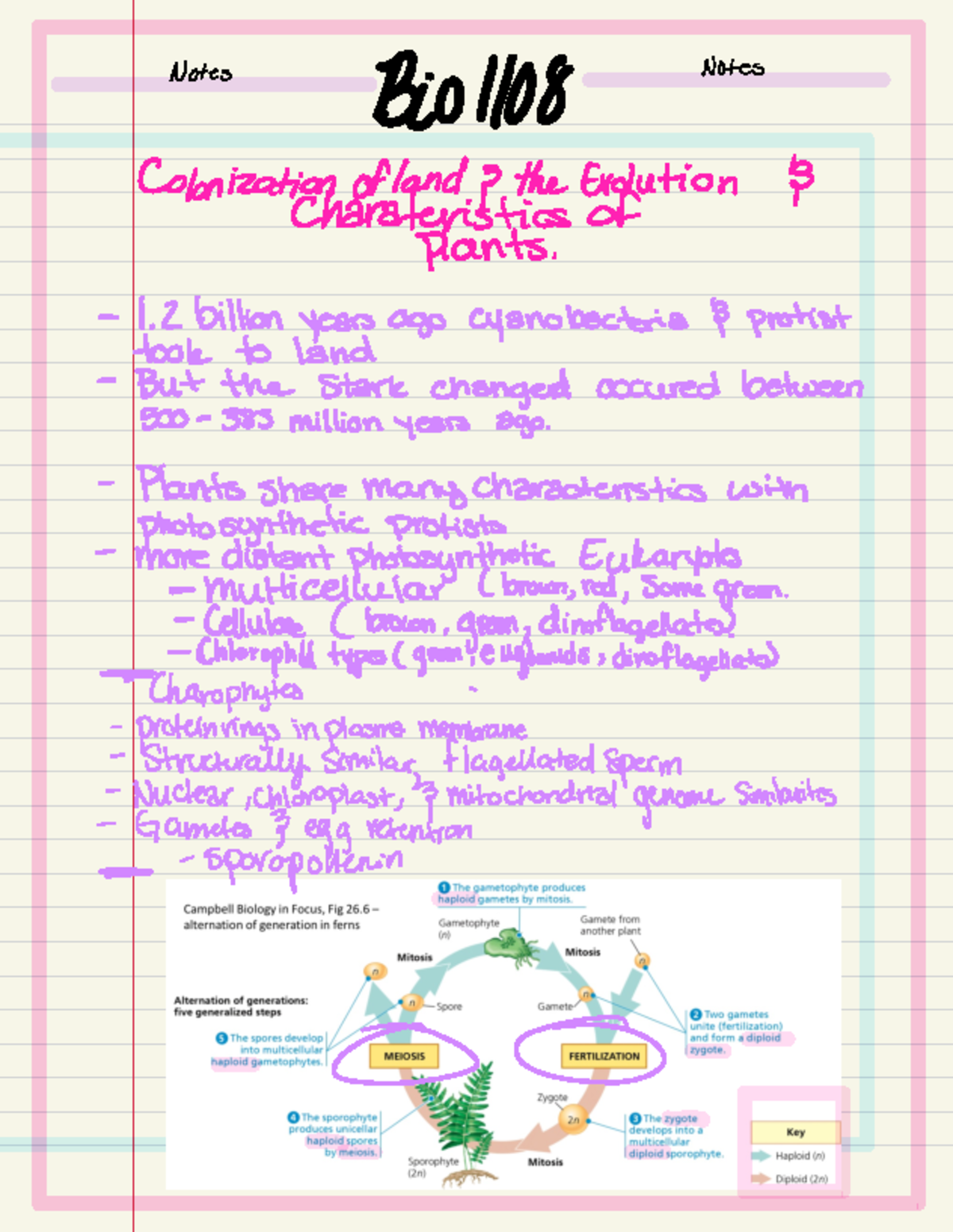 Bio 1108 5 - Notes - Notes Bio 1108 Notes Colonization of land 3 the ...