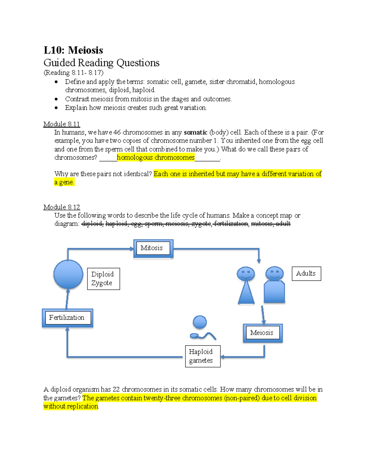 Lesson 10 GRQ's - L10: Meiosis Guided Reading Questions (Reading 8- 8 ...