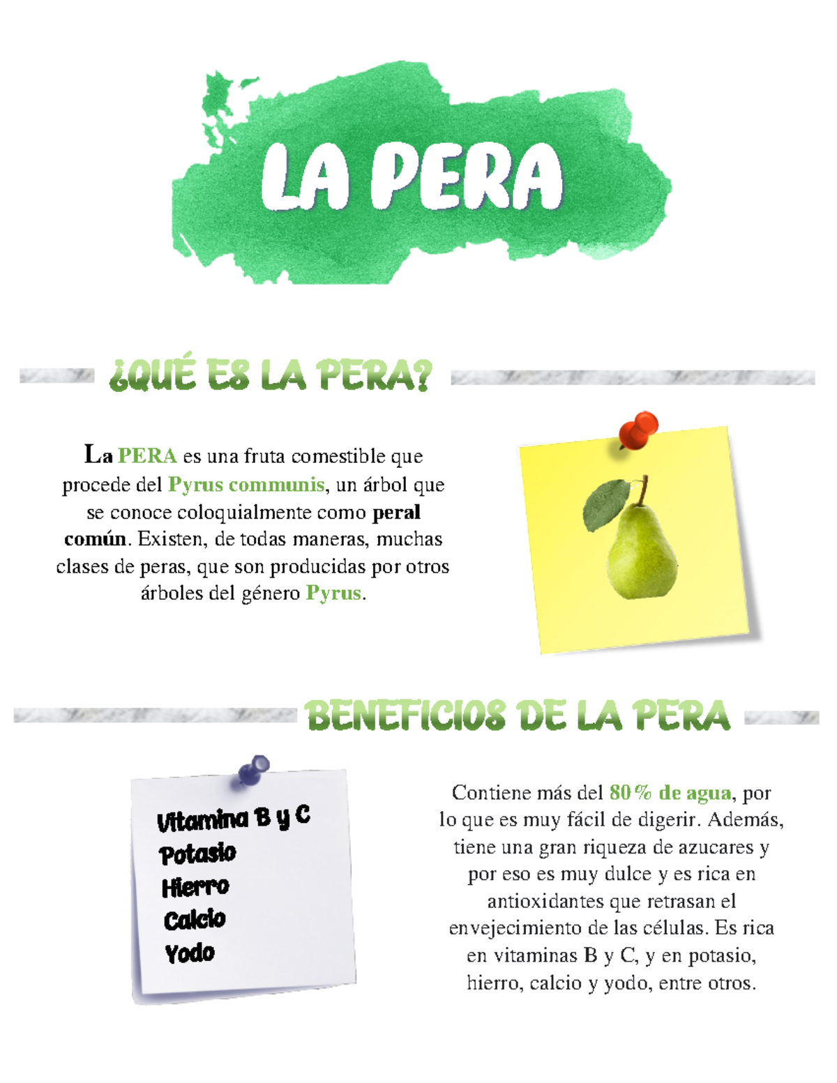 La pera y sus caracteristicas - LA PERA La PERA es una fruta comestible ...