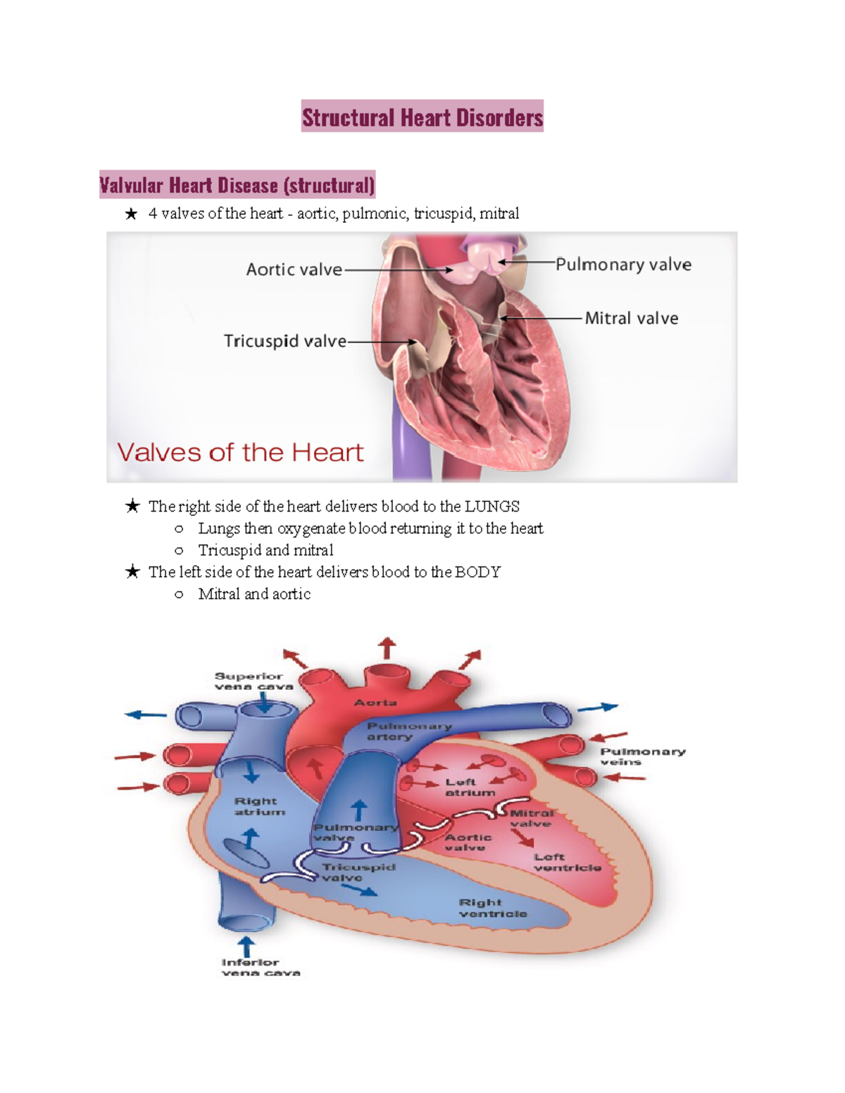 Structural Heart Disorders - Structural Heart Disorders Valvular Heart ...