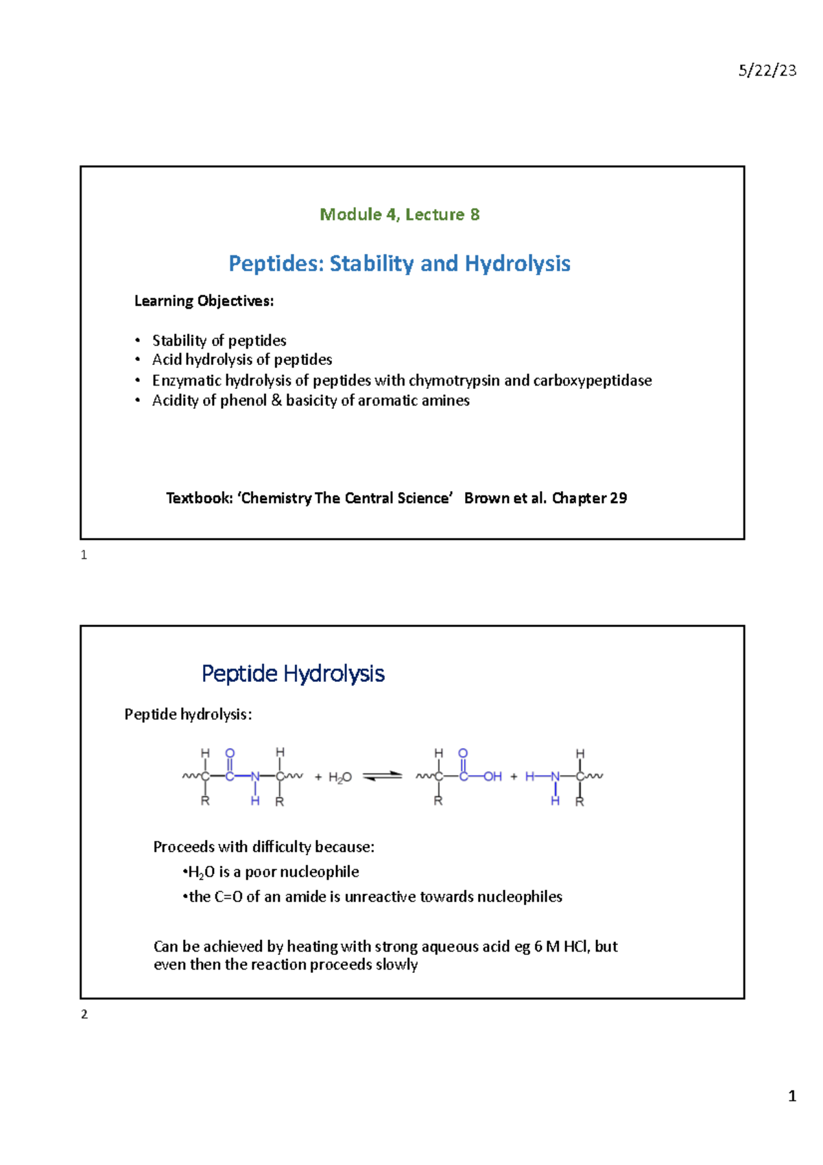 Module 4 Lecture 8 2023 2 per page - Module 4, Lecture 8 Peptides: Stability and Hydrolysis ...