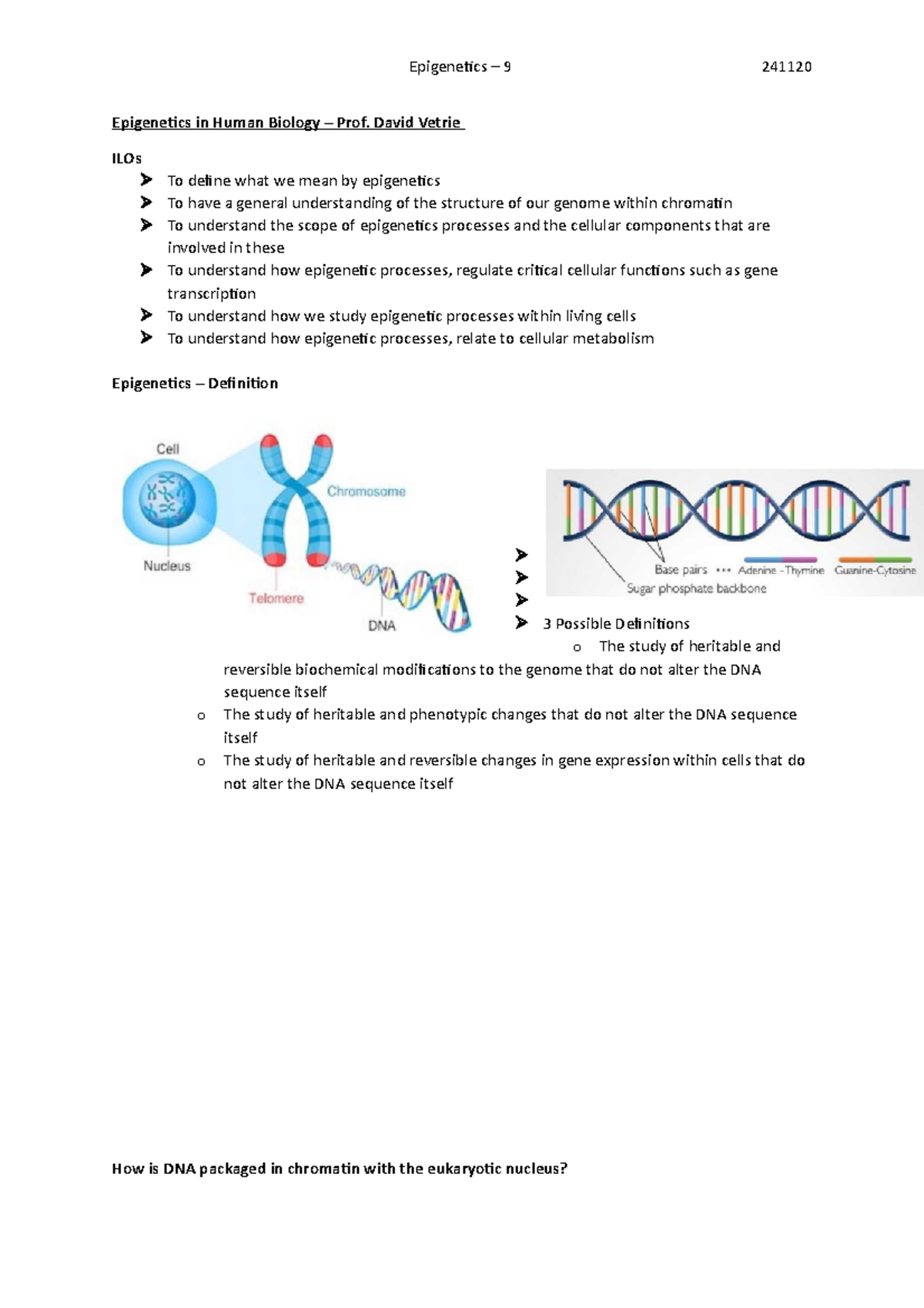 9 Epigenetics in Human Biology 241120 - Epigeneics in Human Biology ...