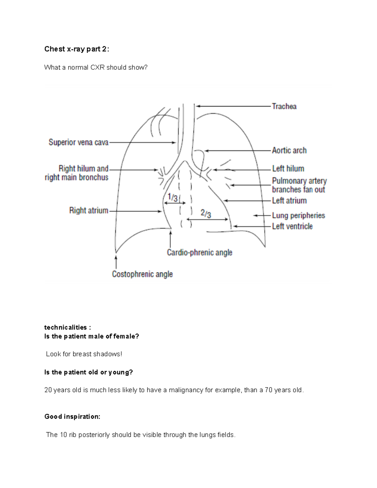 Professional Fundamentals - Chest x-ray part 2: What a normal CXR ...