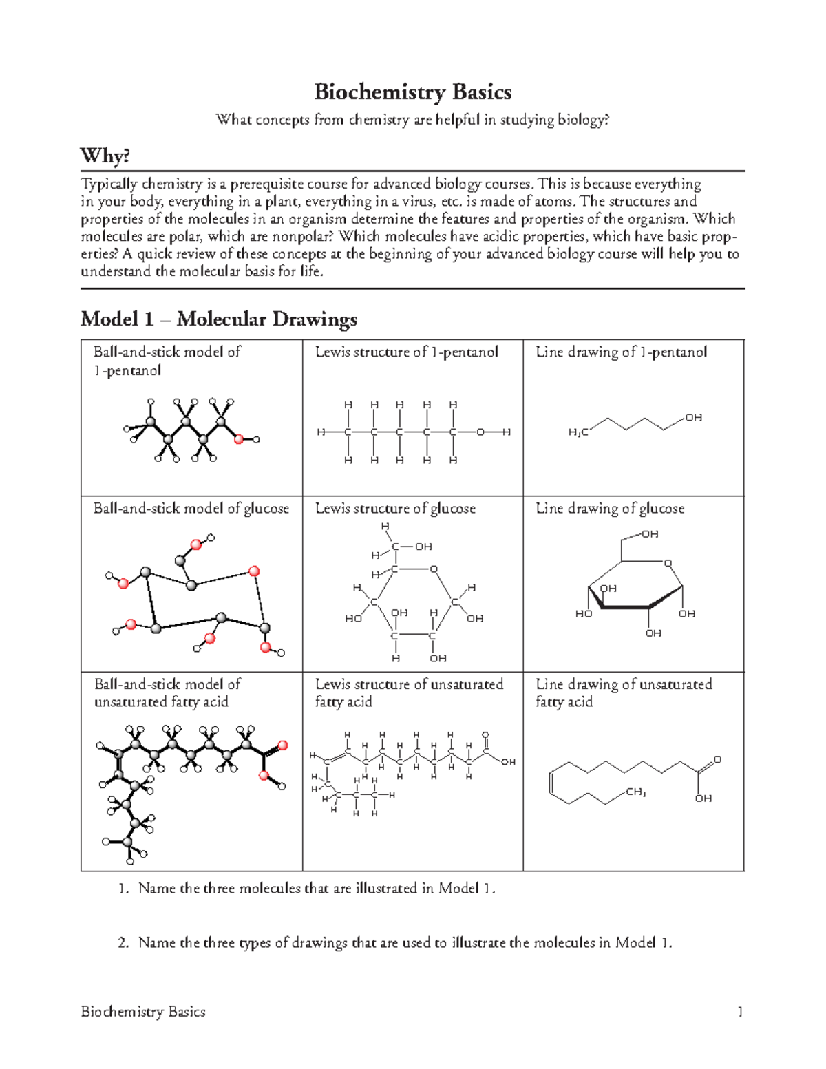 Biochem Basics - Biochemistry Basics 1 Biochemistry Basics What ...