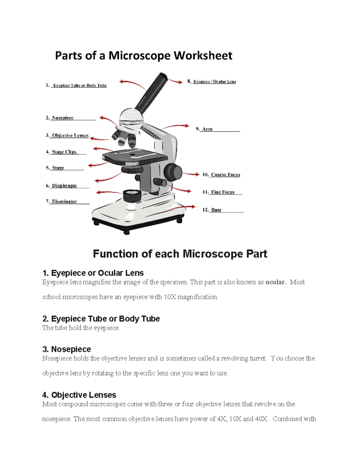 HISTOLOGY NOTES - Function of each Microscope Part 1. Eyepiece or ...