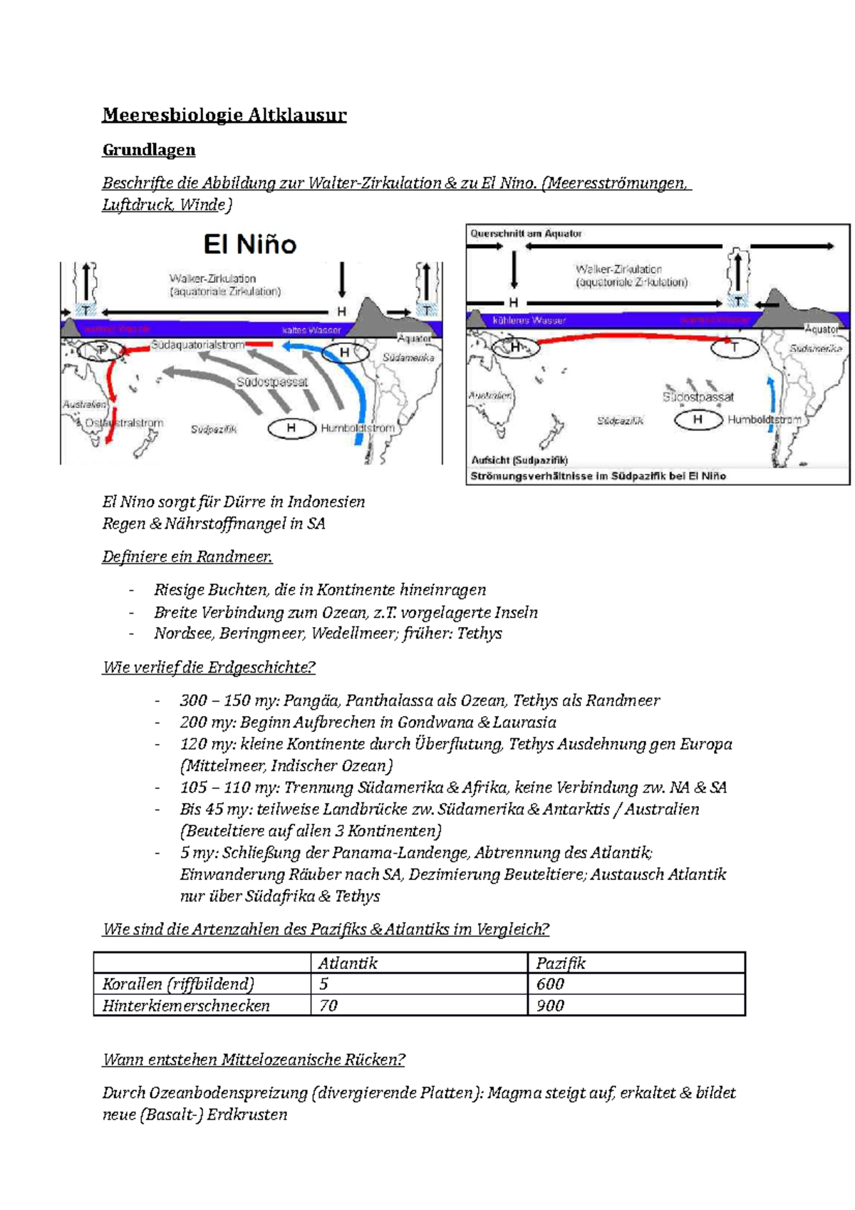Klausur Sommersemester 2017, Fragen und Antworten - Meeresbiologie Altklausur Grundlagen El Nino ...