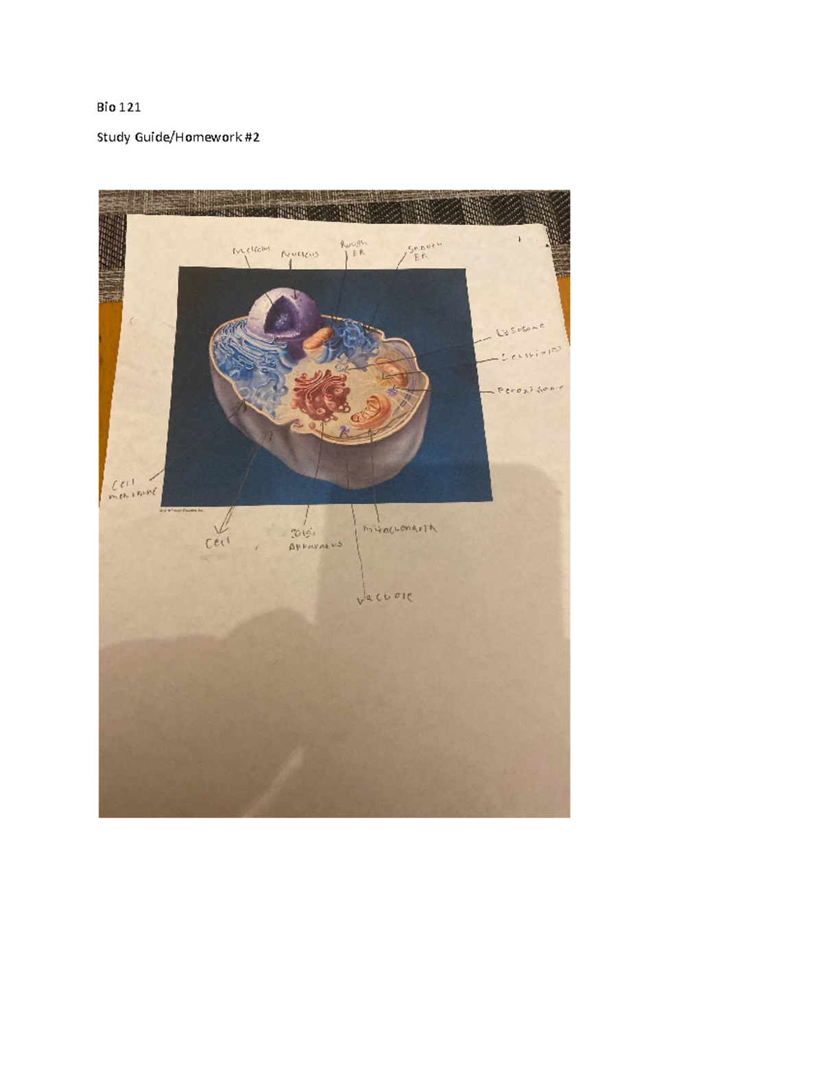 Bio 121 Assignment Unit 2 - Bio Study Guide/Homework # Label the ...