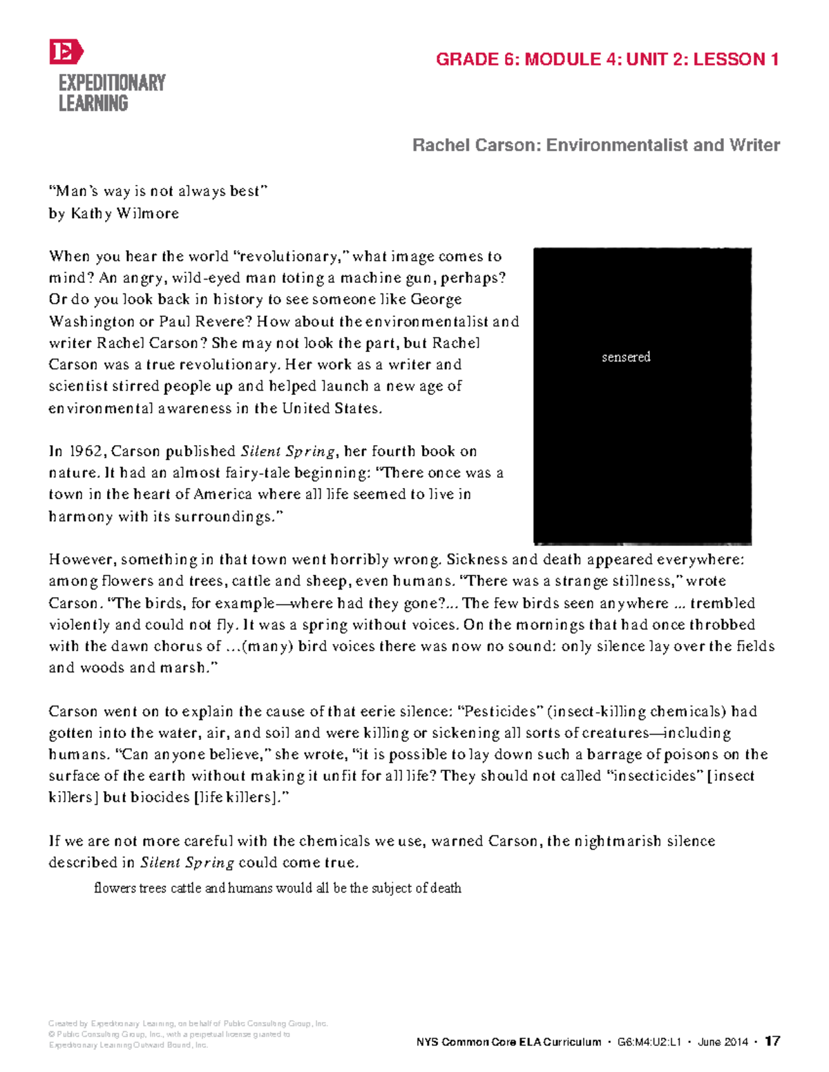 stuff that doesn't matter - GRADE 6: MODULE 4: UNIT 2: LESSON 1 Rachel ...