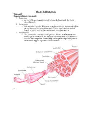 AP1 Lab Manual_Answers - Anatomy and Physiology Lab Manual Version 1.1 ...