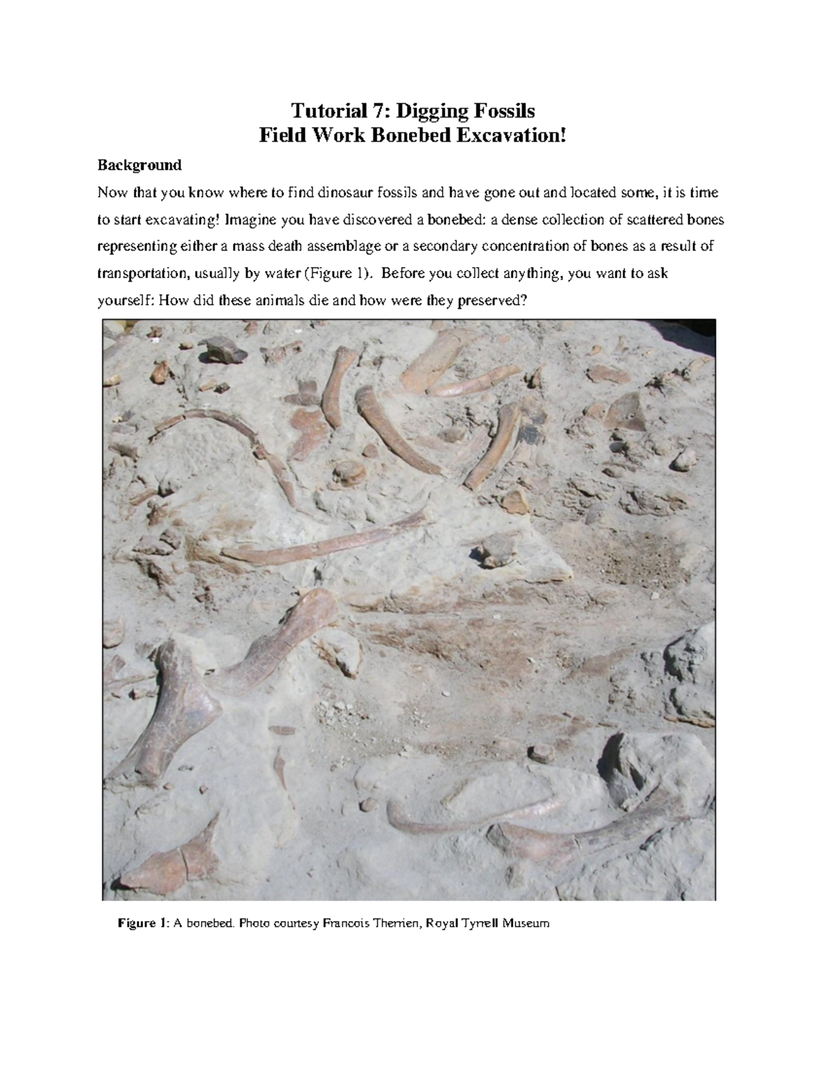 Tutorial 7a Digging Dinosaurs - Tutorial 7 : Digging Fossils Field Work ...